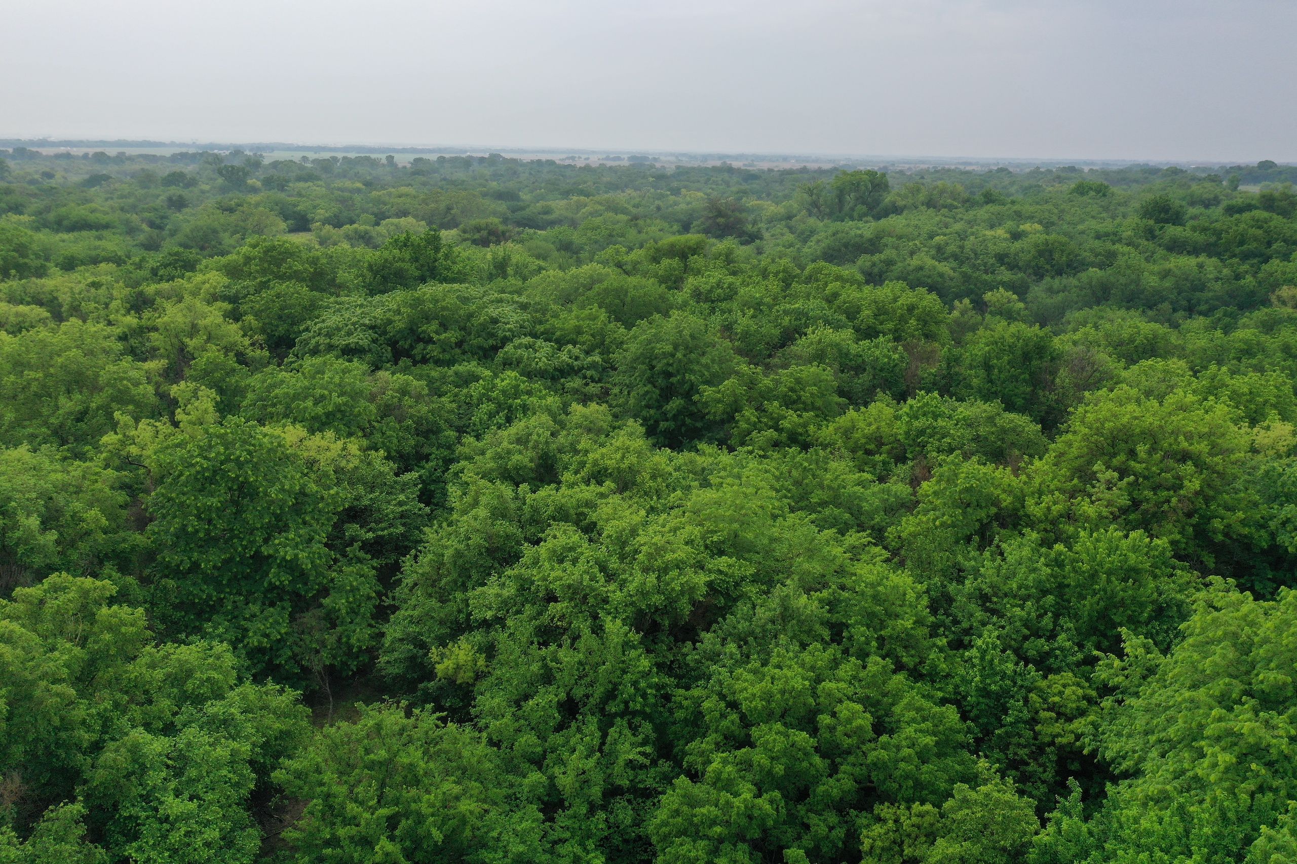 N710 RR, Byron, OK 73719 | Land and Farm