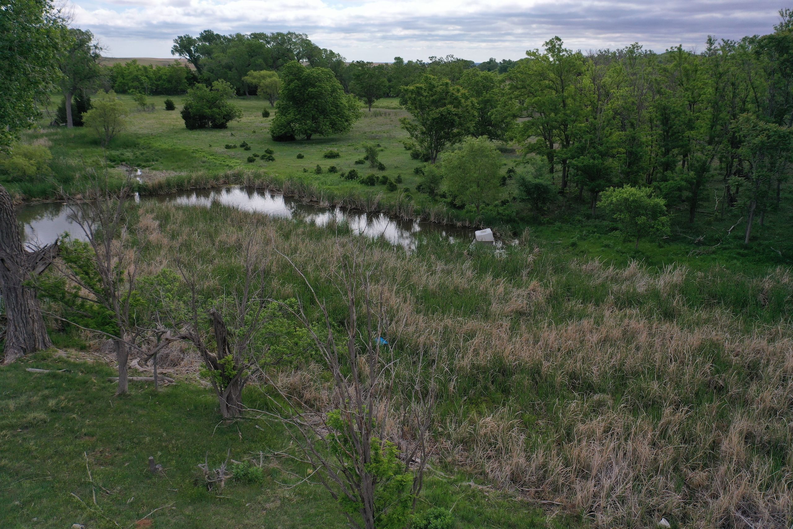 160 Acres, RR. 1 Box 144, Rosston, OK 73855 | Land and Farm