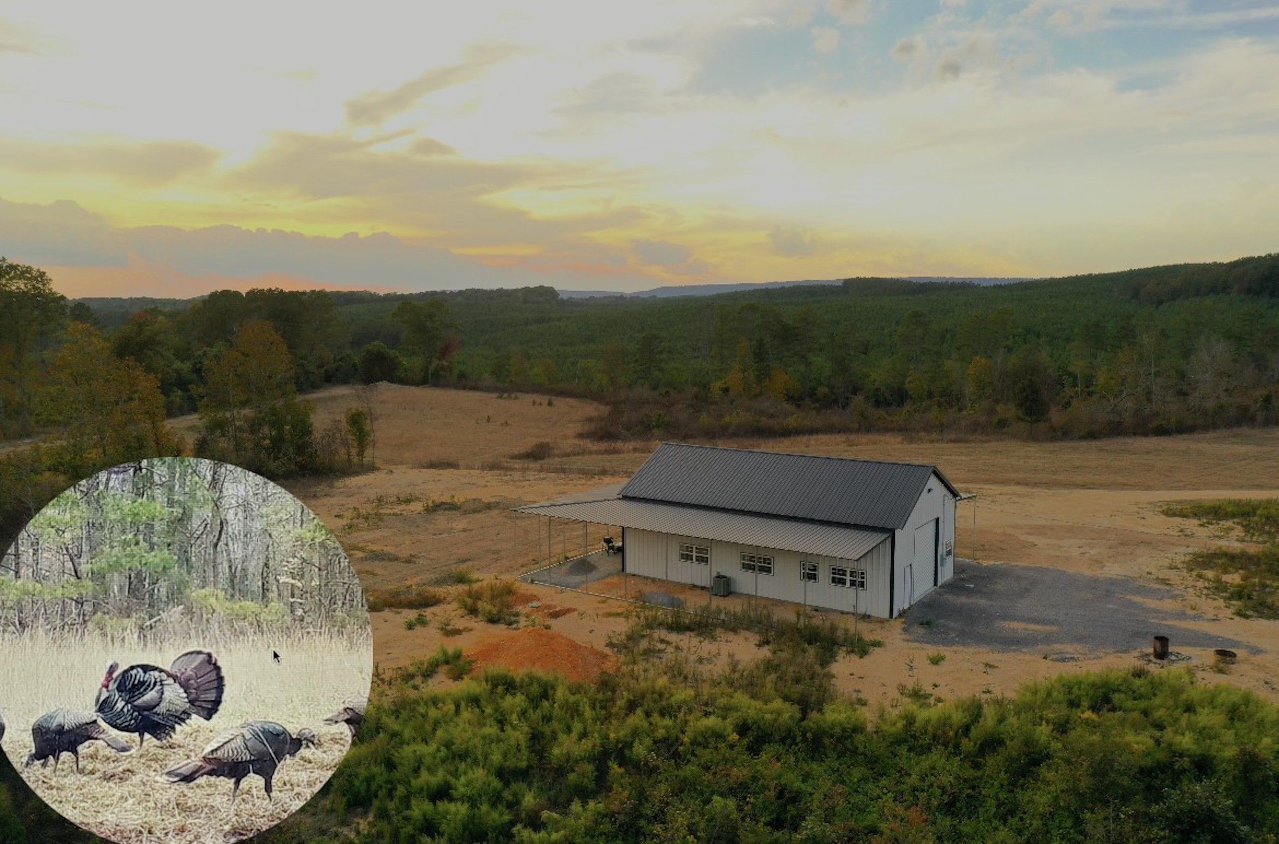 Lot#WP001, Gaylesville, AL 35973 | Land and Farm