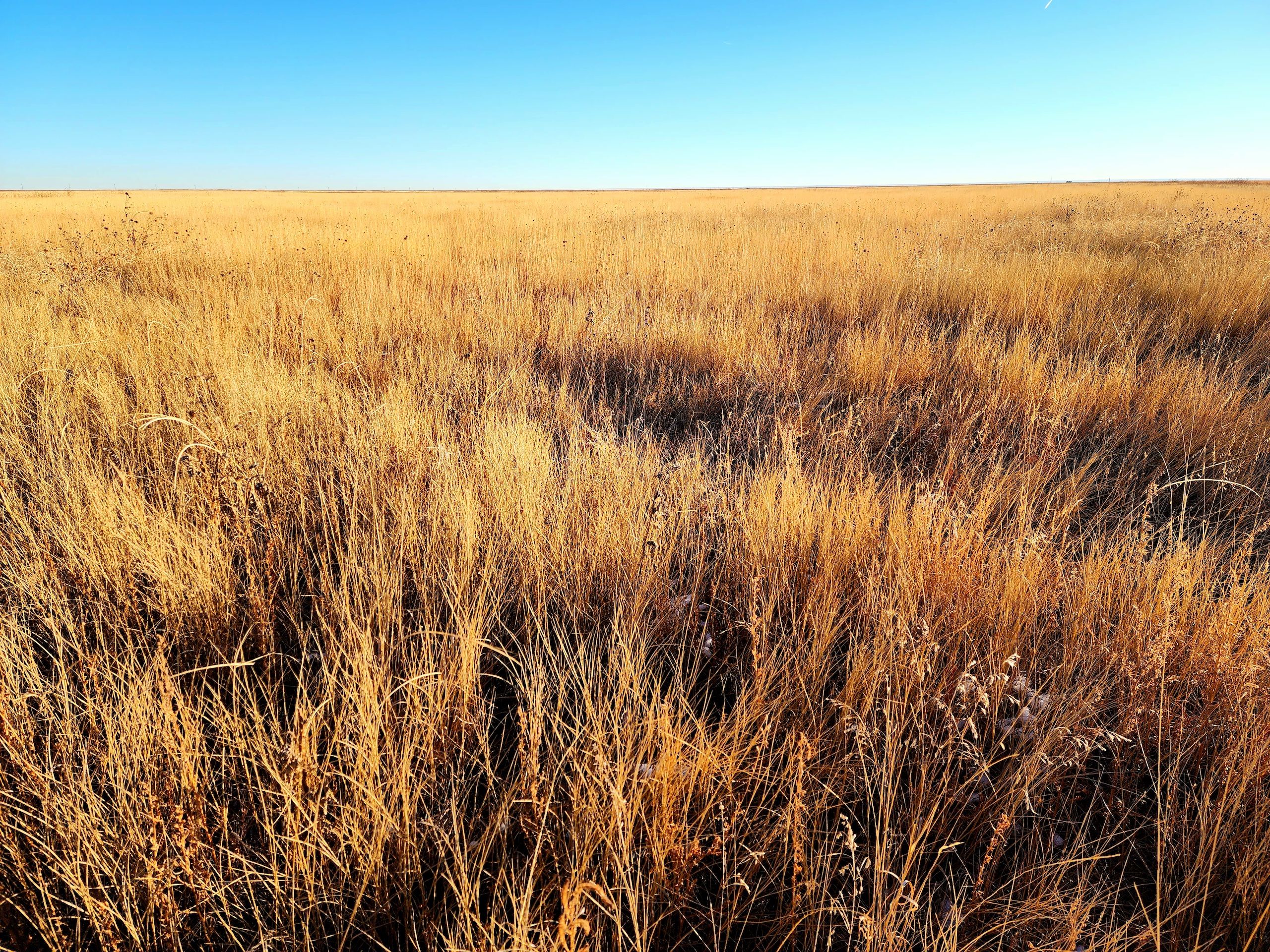 County Road 30, Lot#WP001, Eads, CO 81036 | Land and Farm