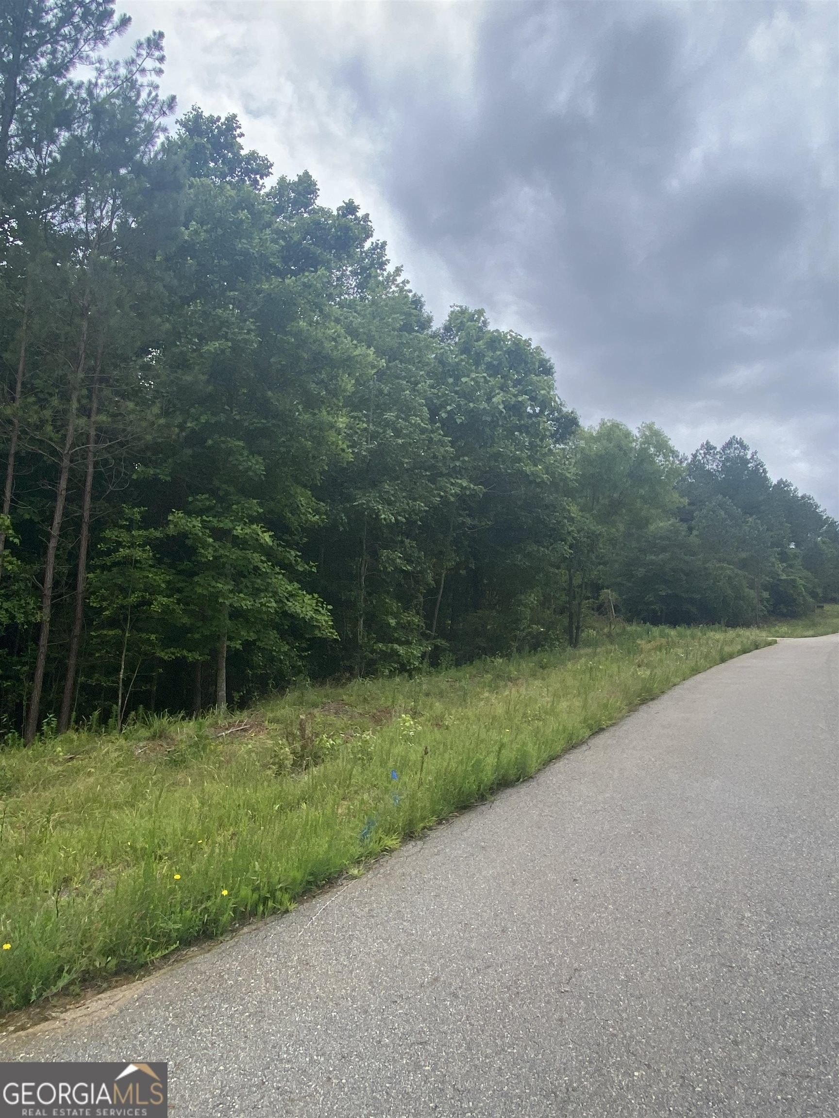 0 Sourwood, Colbert, GA 30628 | MLS: 20165391 | Land and Farm