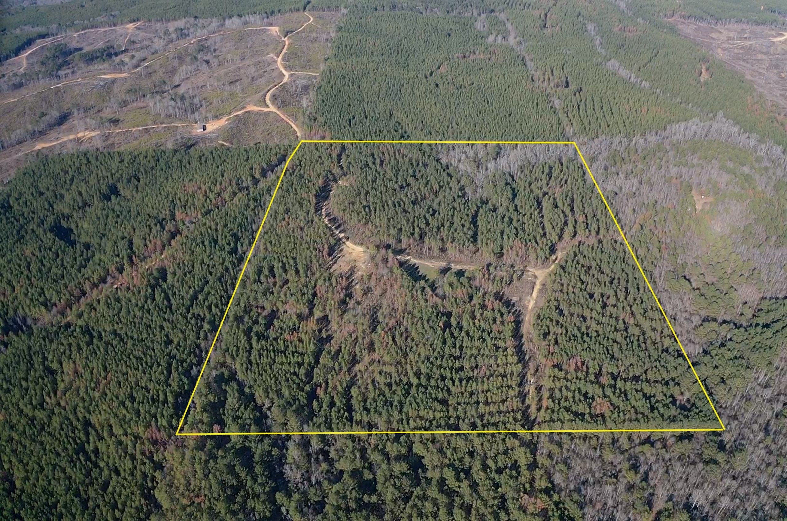 50 Acres, Carthage, MS 39051 | Land and Farm