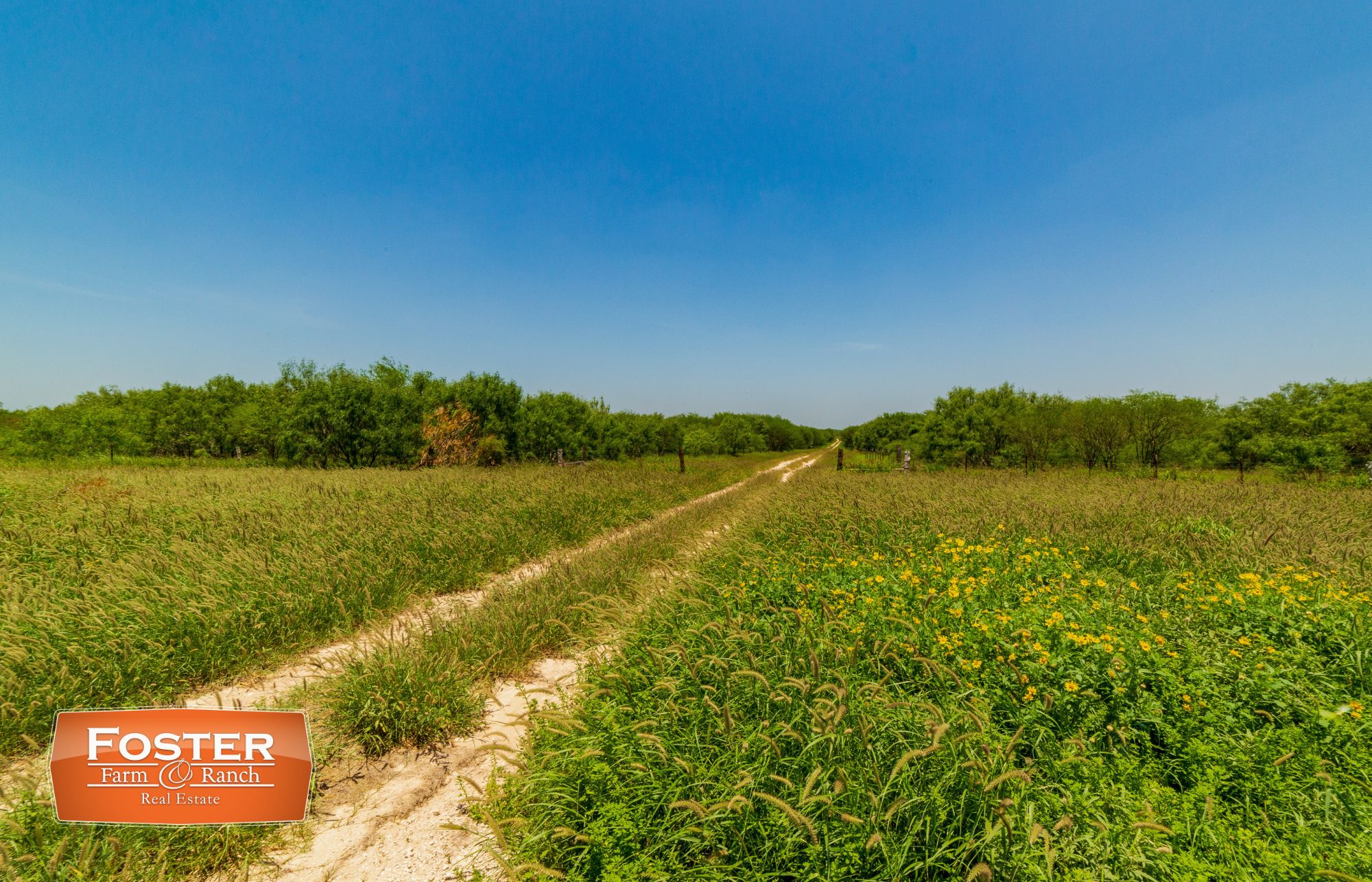 645 acres in McCook, TX, 78591 | Land and Farm