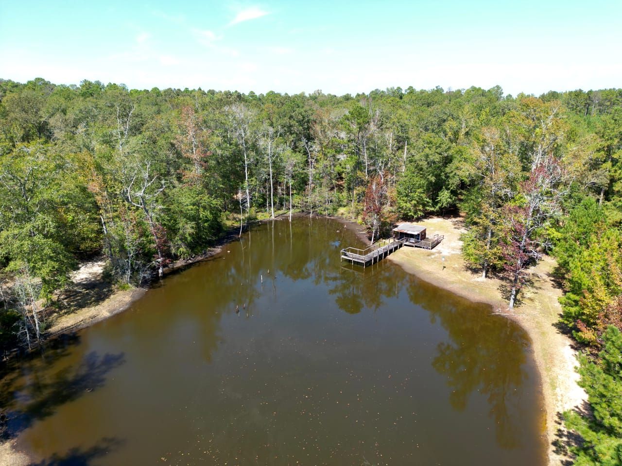 88 Wheeler Rogers Rd, Rupert, GA 31081 | Land and Farm