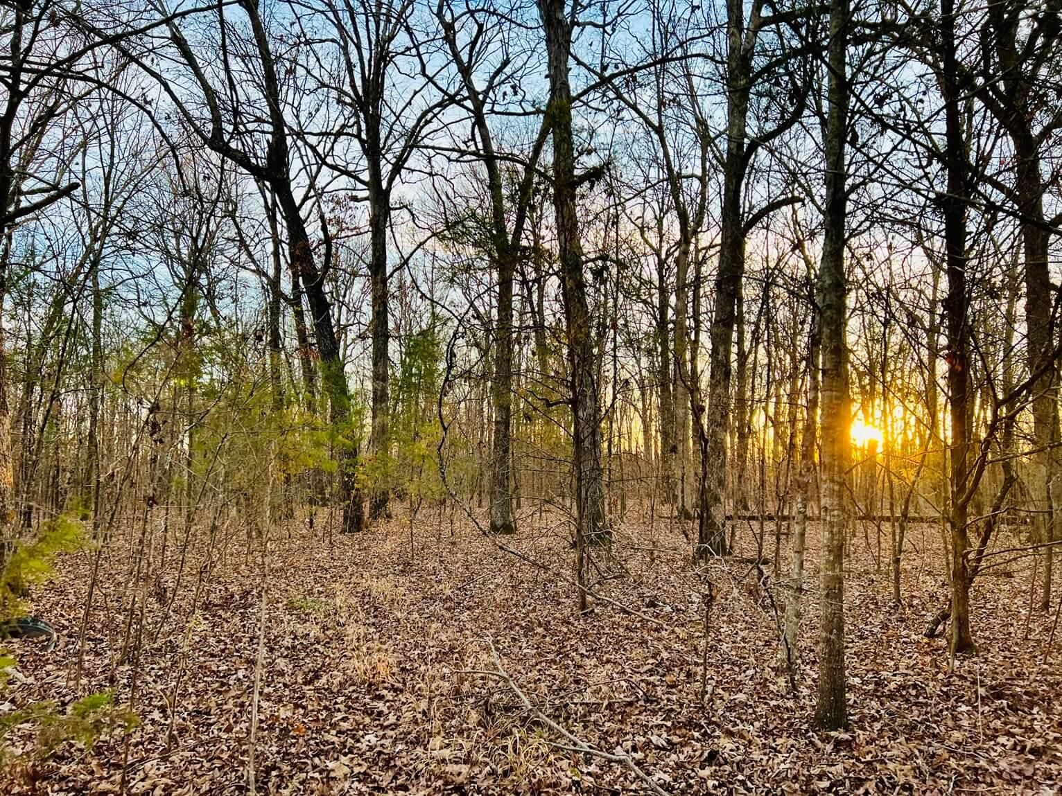 County Road 6121, Baldwyn, MS 38824 | MLS: 24-133 | Land and Farm