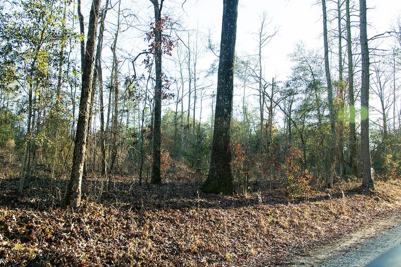 Perkins Road, Hephzibah, GA 30815 | MLS: 956 | Land and Farm