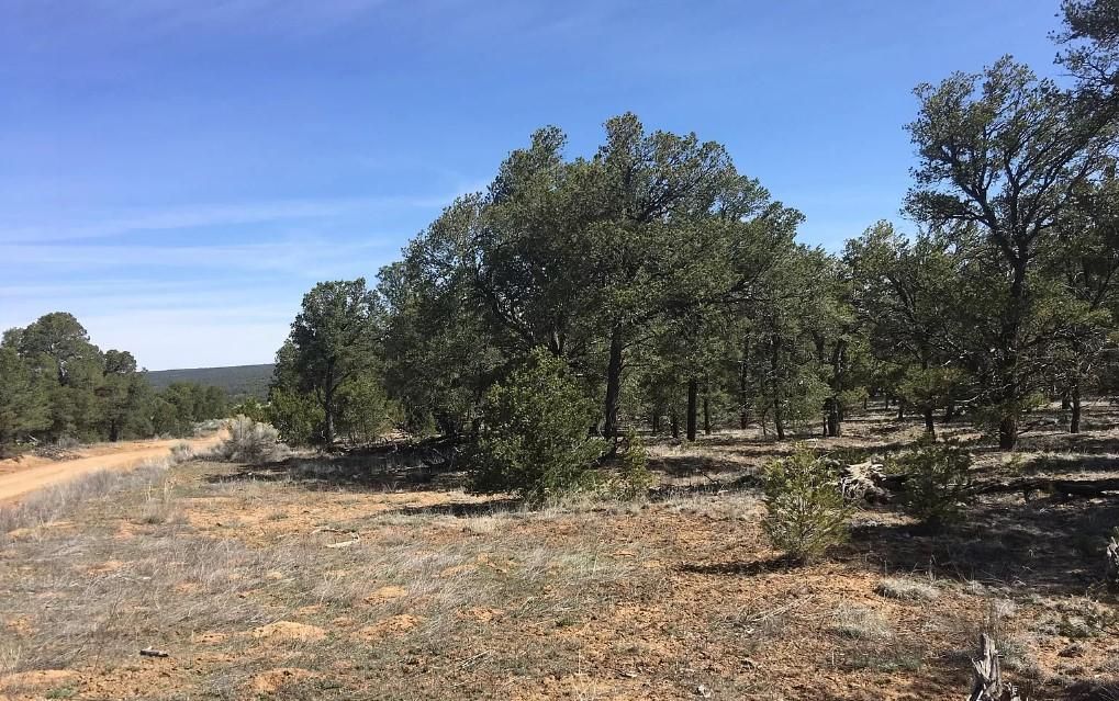 2.5 acres in Ramah, NM, 87321 | MLS: R06551 | Land and Farm