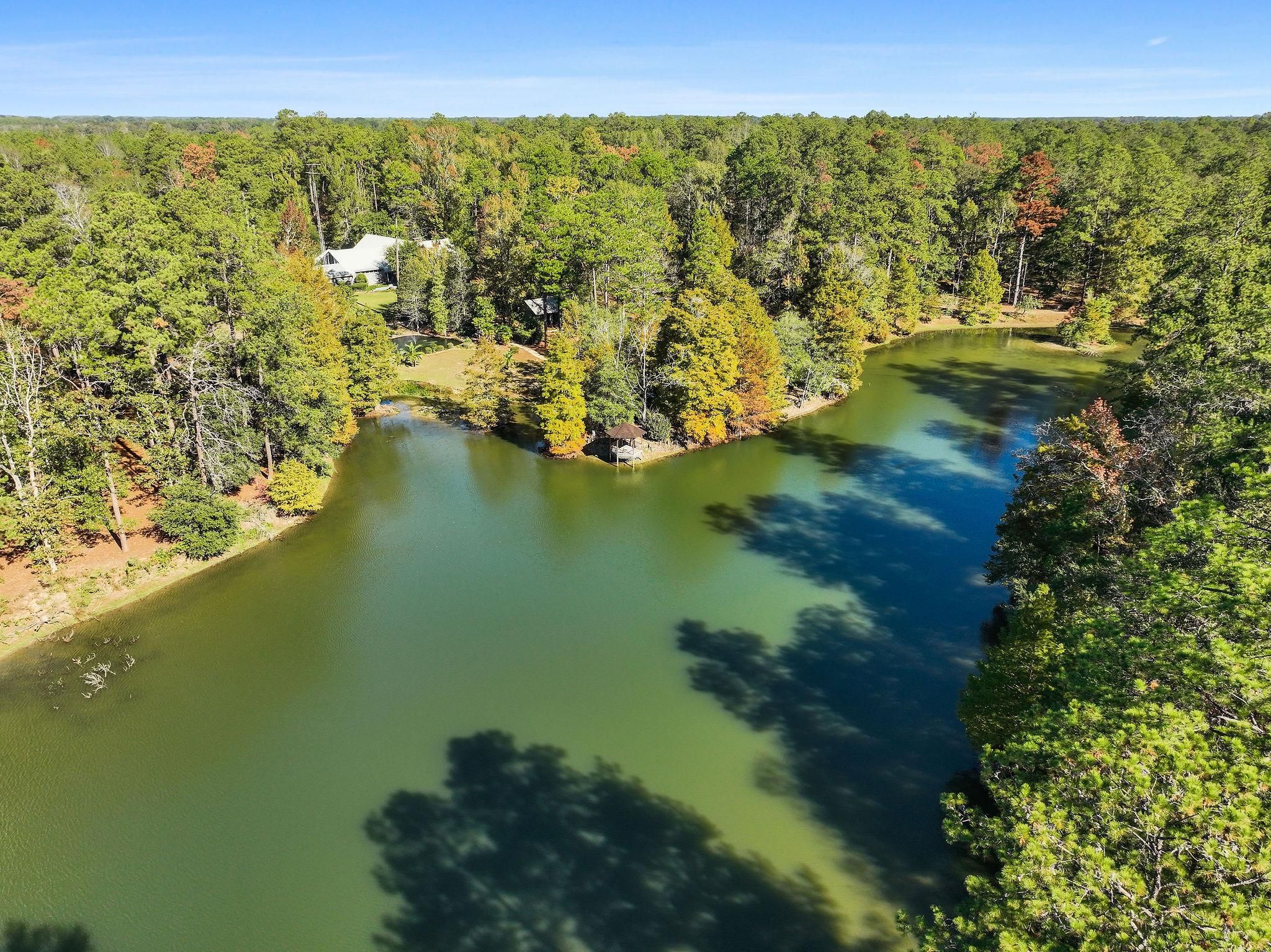 74169 N Lewiston Rd, Kentwood, LA 70444 | MLS: 2429341 | Land and Farm