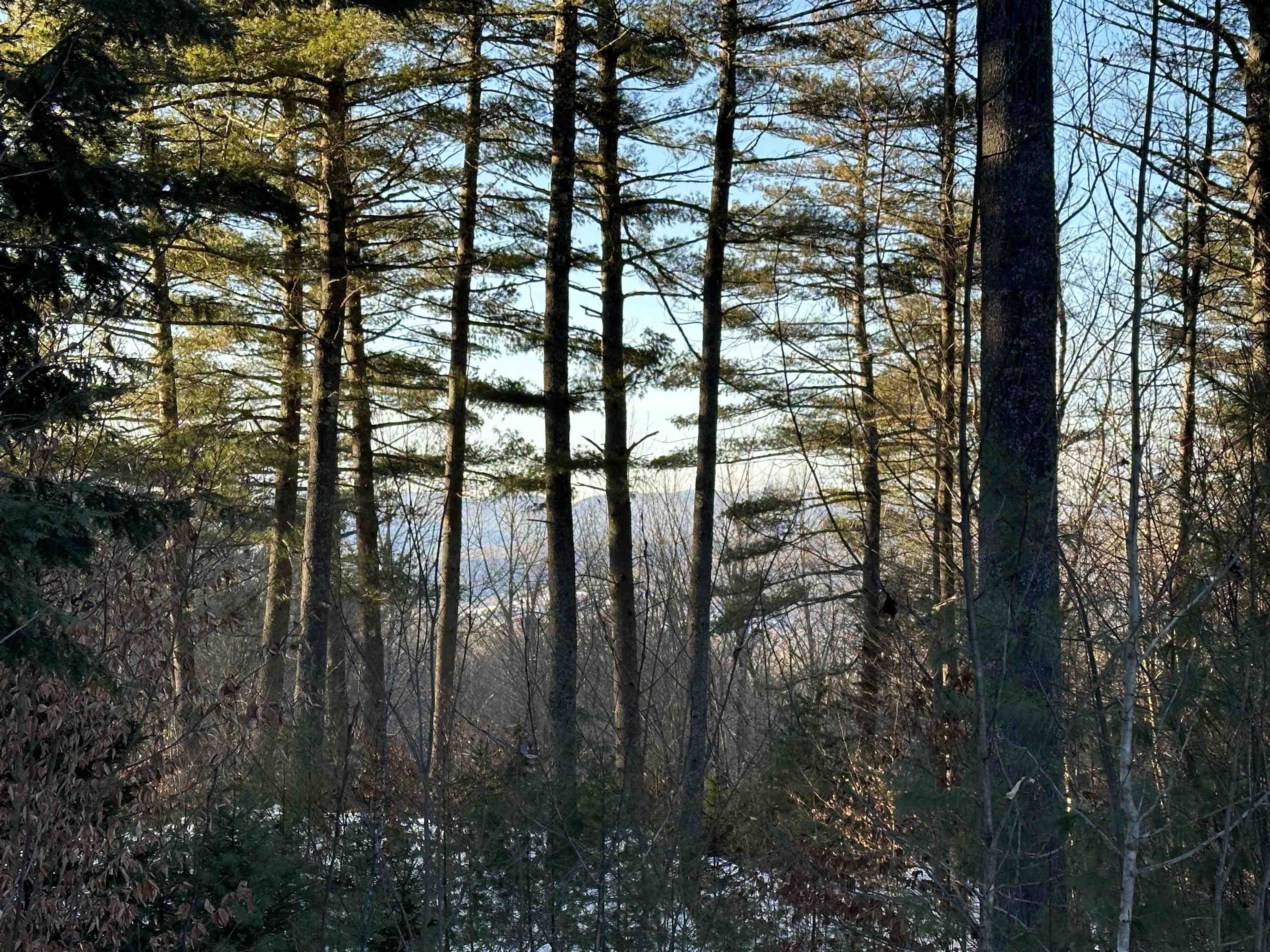 10.46 Acres, 0 Fish Hill Road, Randolph, VT 05060 | Land and Farm