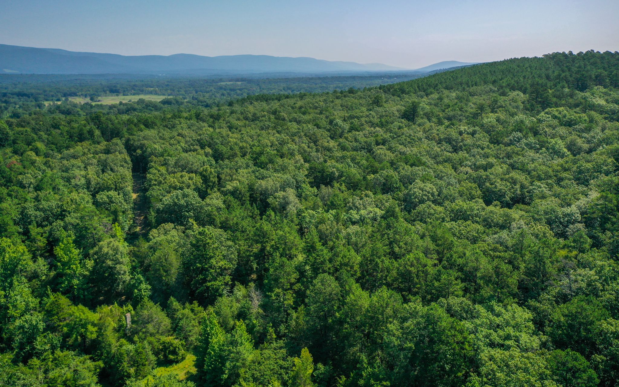 TBD Cane Creek Road, Waldron, AR 72958 | Land and Farm