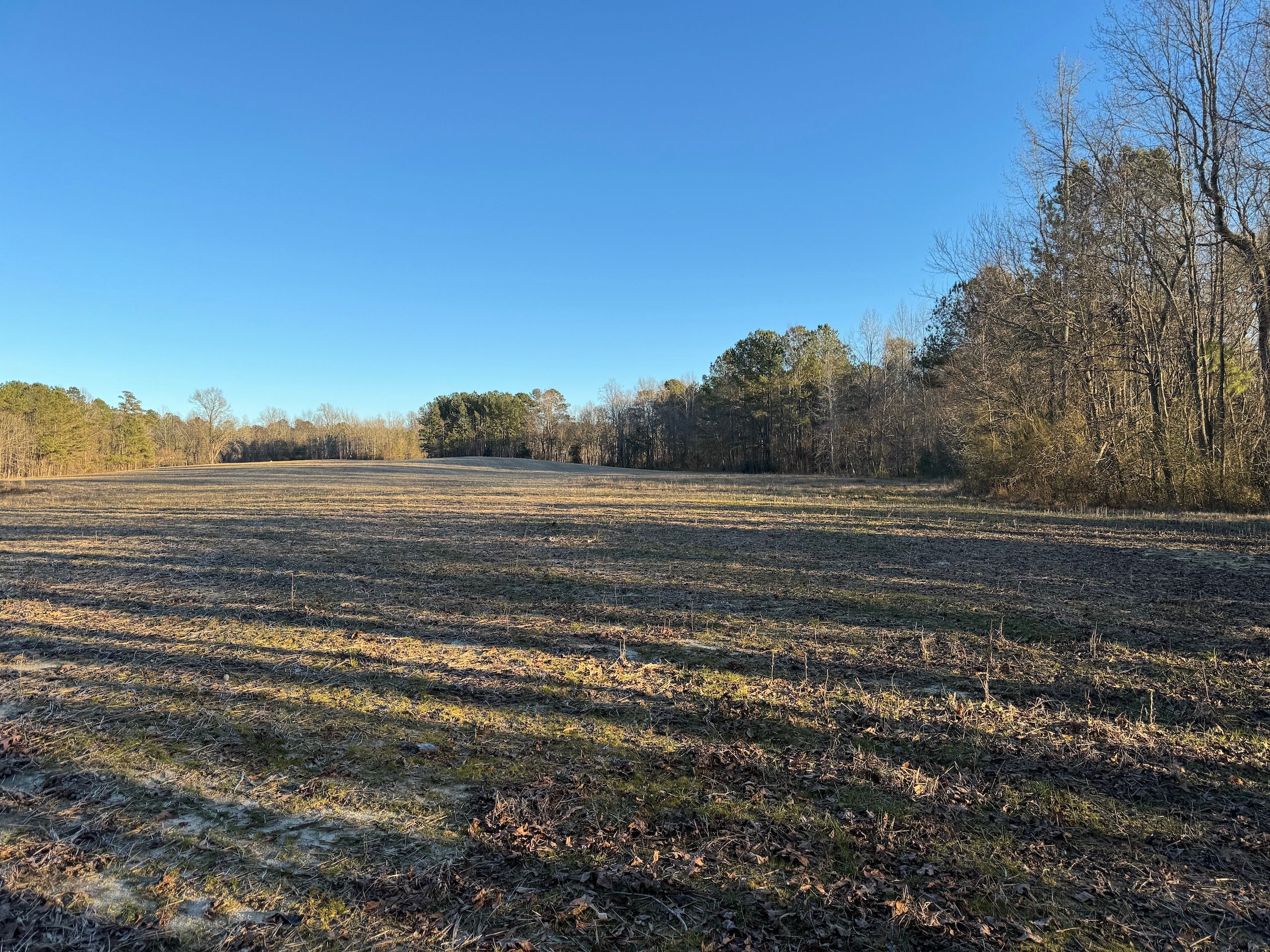 Off of Ferrell Road, Lot#Wp001, Zebulon, NC 27597 | Land and Farm