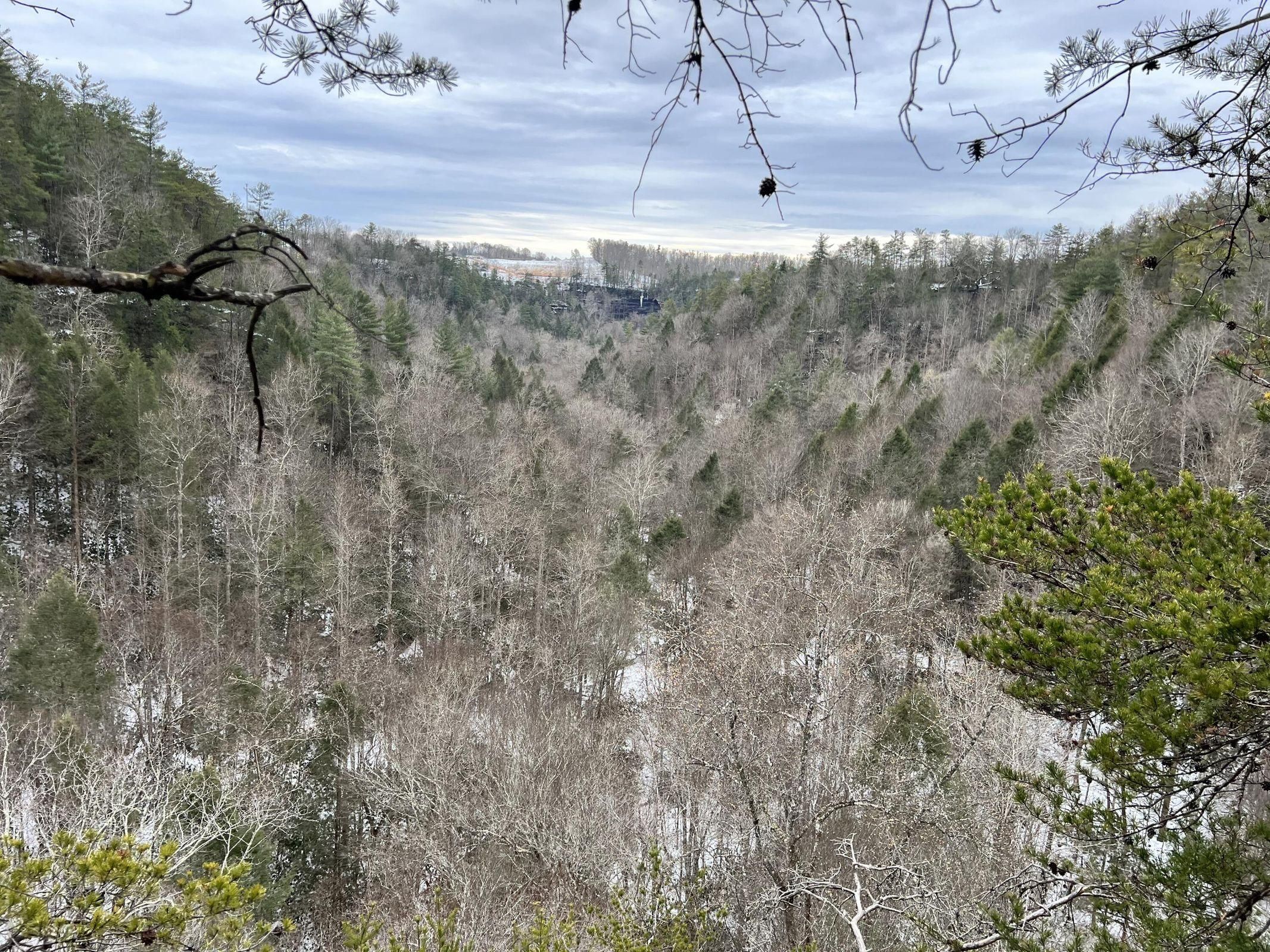 6 acres in Rogers, KY, 41360 | MLS: 24001399 | Land and Farm