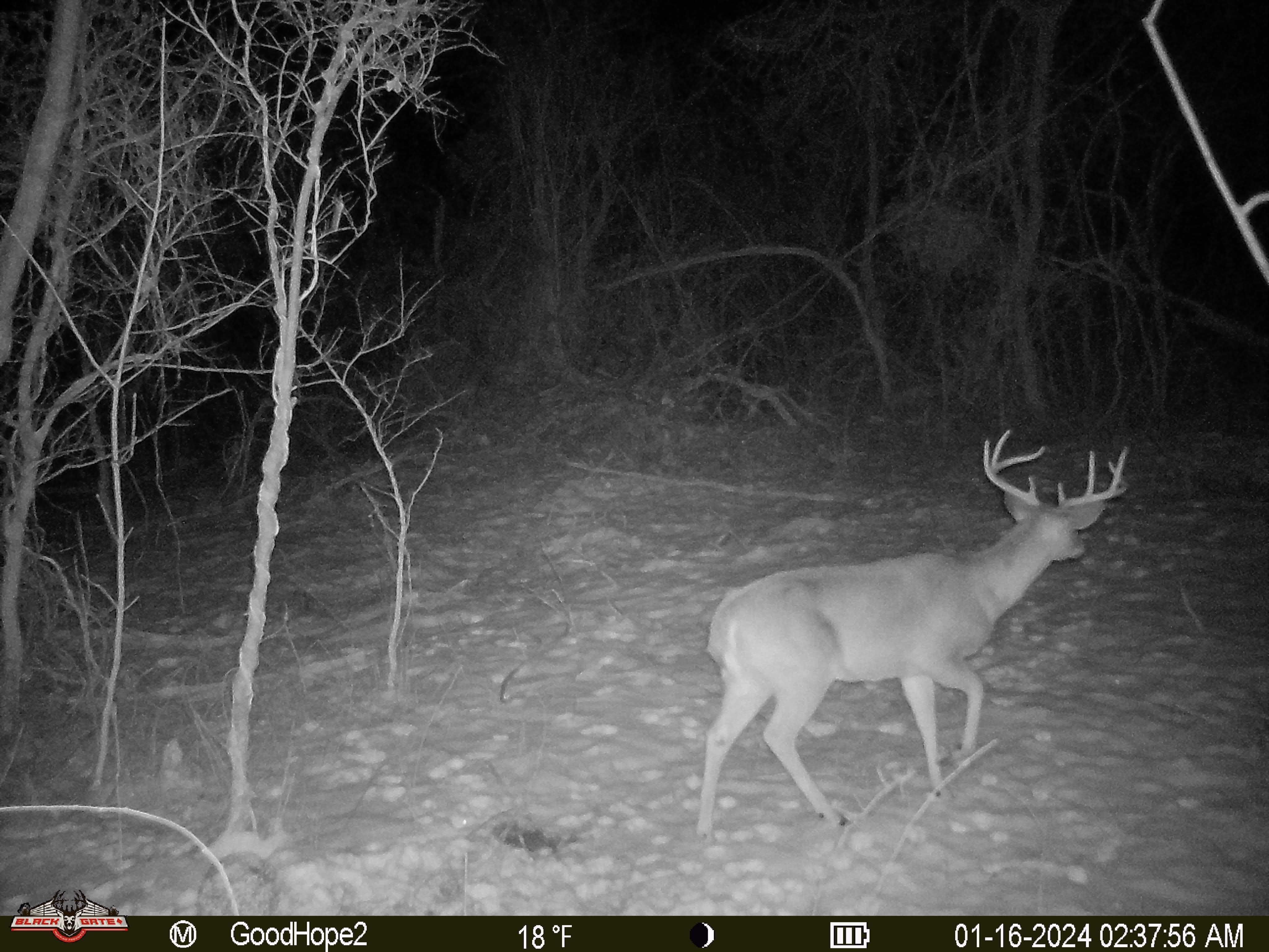 2 Good Hope Road, Crown City, OH 45623 | Land and Farm