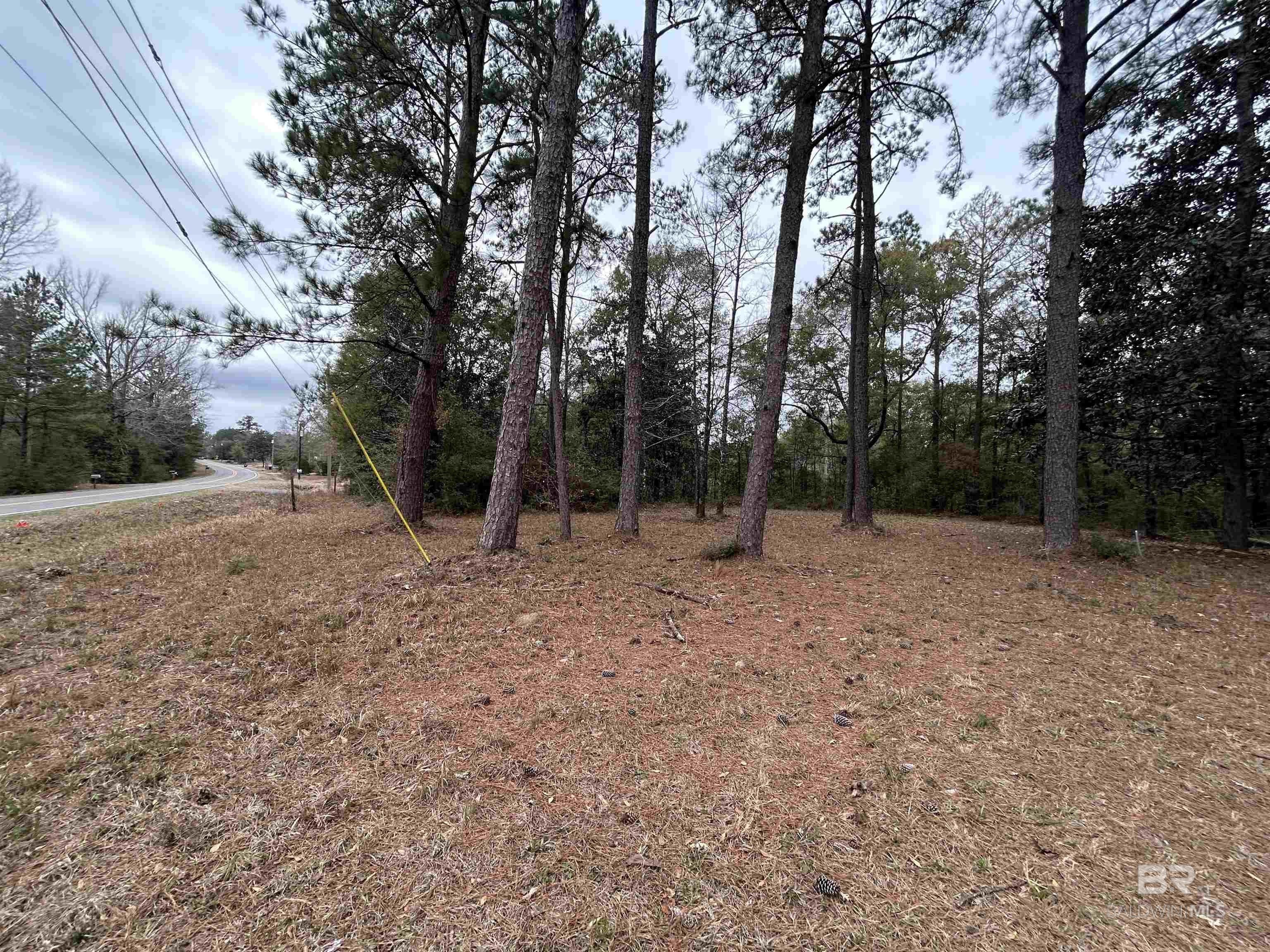 1.2 Acres, 0 Chunchula Georgetown Road, Chunchula, AL 36521 | Land and Farm