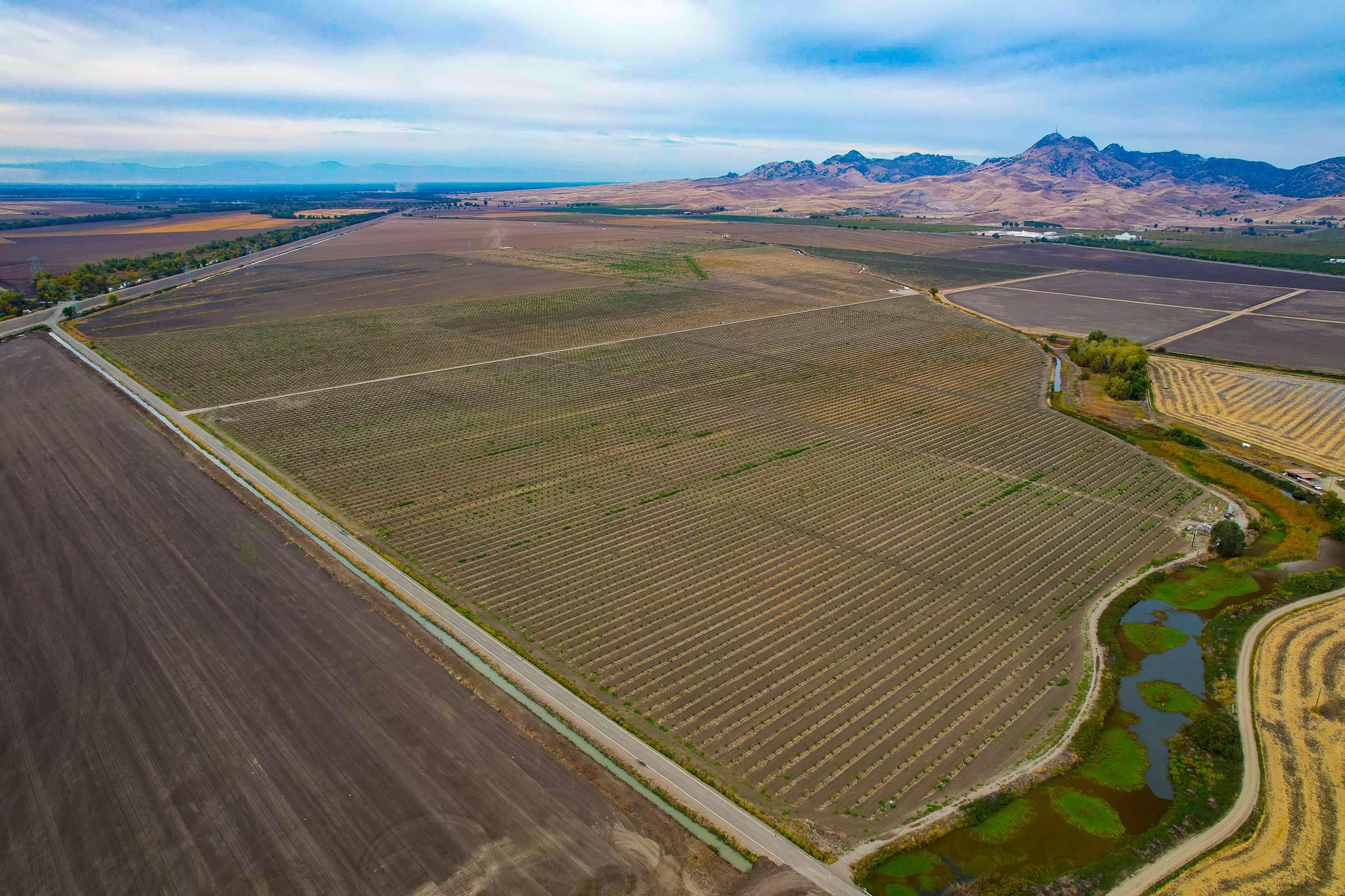 Franklin Road, Sutter, CA 95982 | Land and Farm