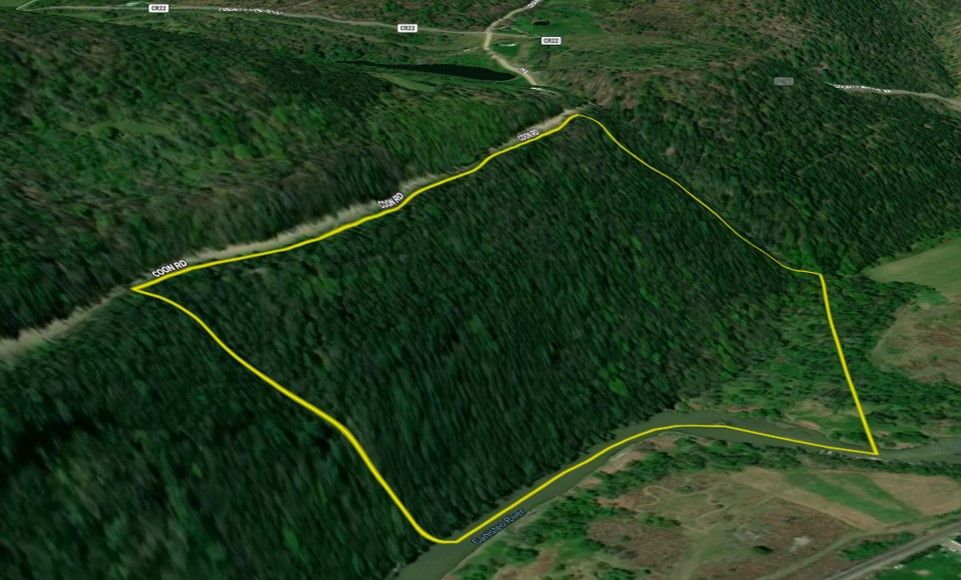 Coon Road, Lot#WP001, Cameron, NY 14819 | MLS: 11242084 | Land and Farm