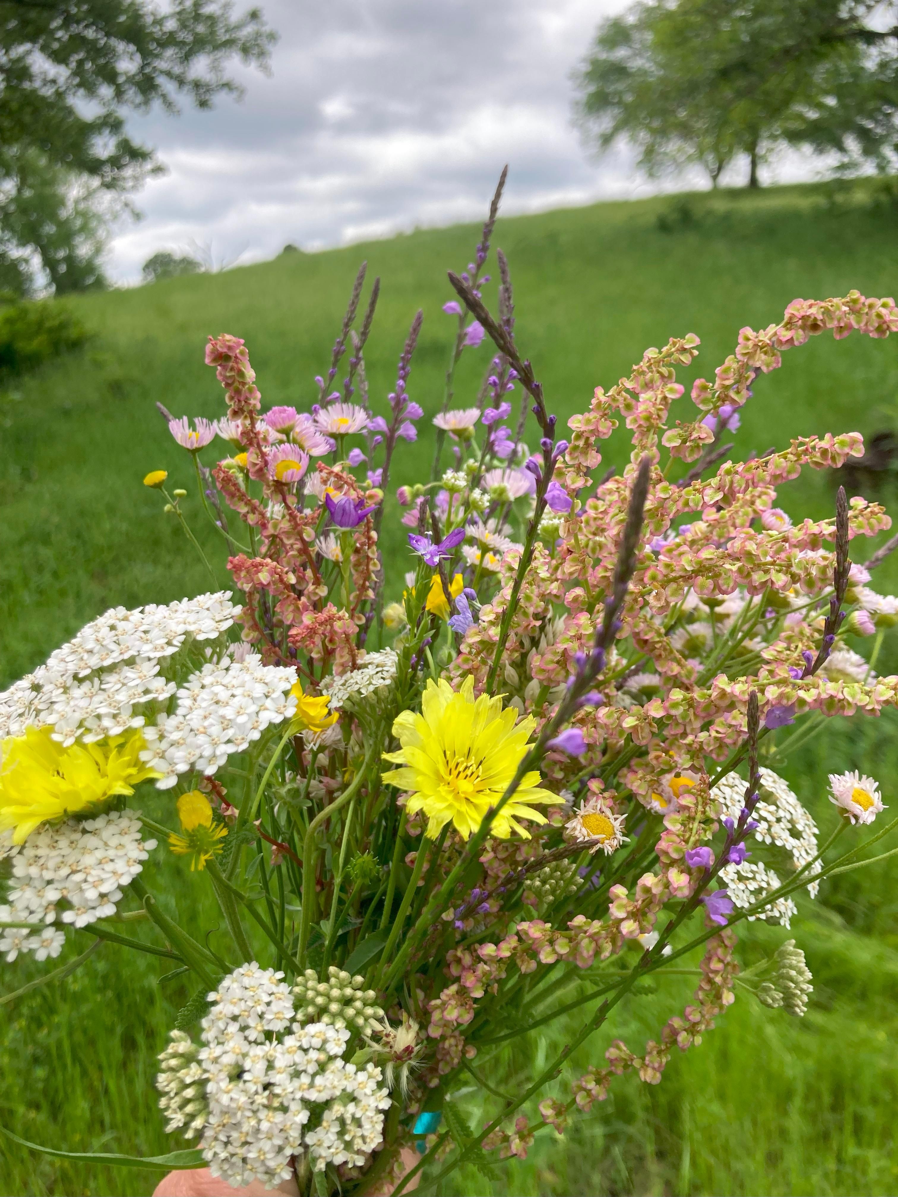 County Road 4706, Ben Wheeler, TX 75754 | Land and Farm