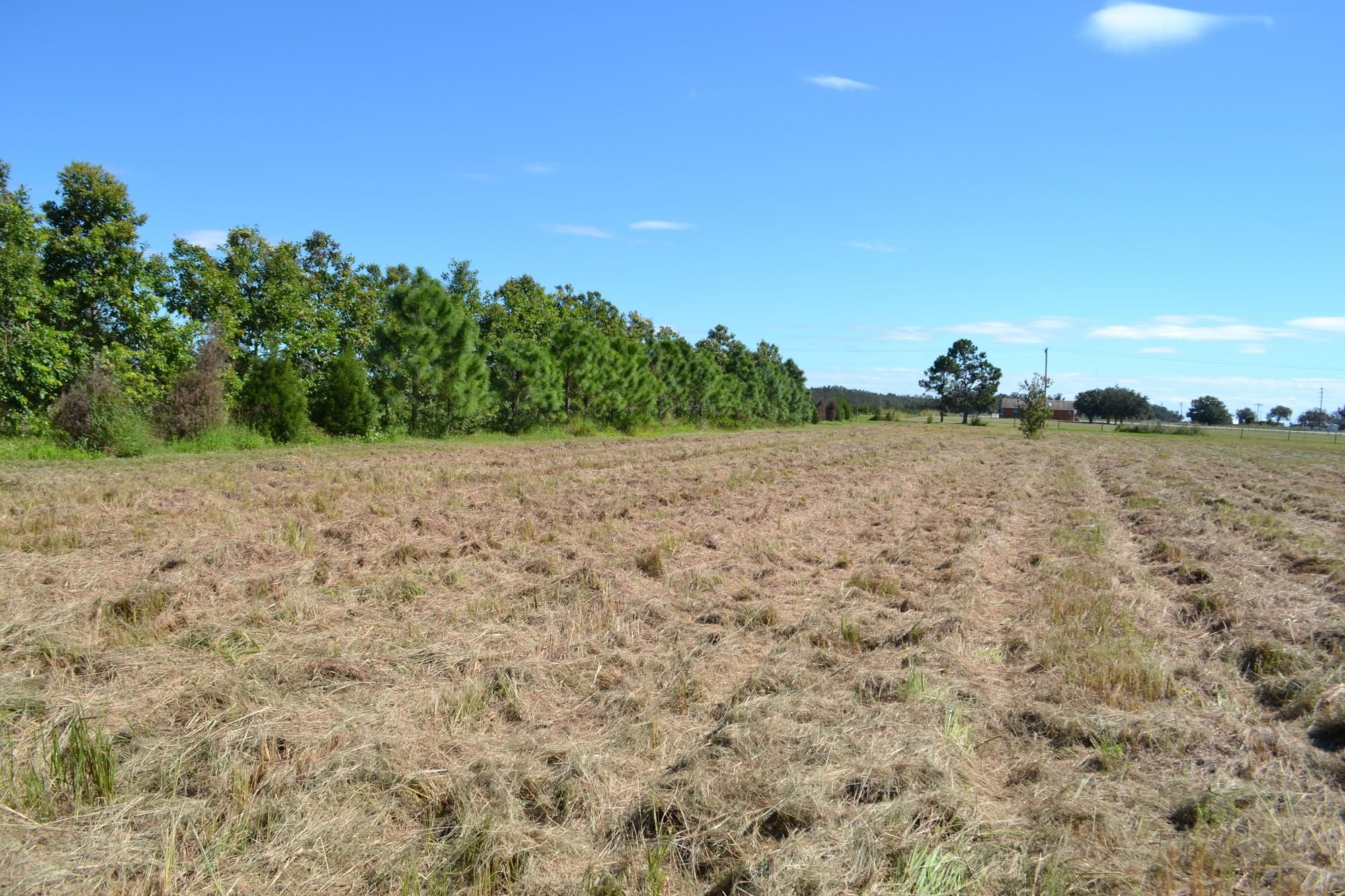 Lake Buffum Road South, Fort Meade, FL 33841 | Land and Farm