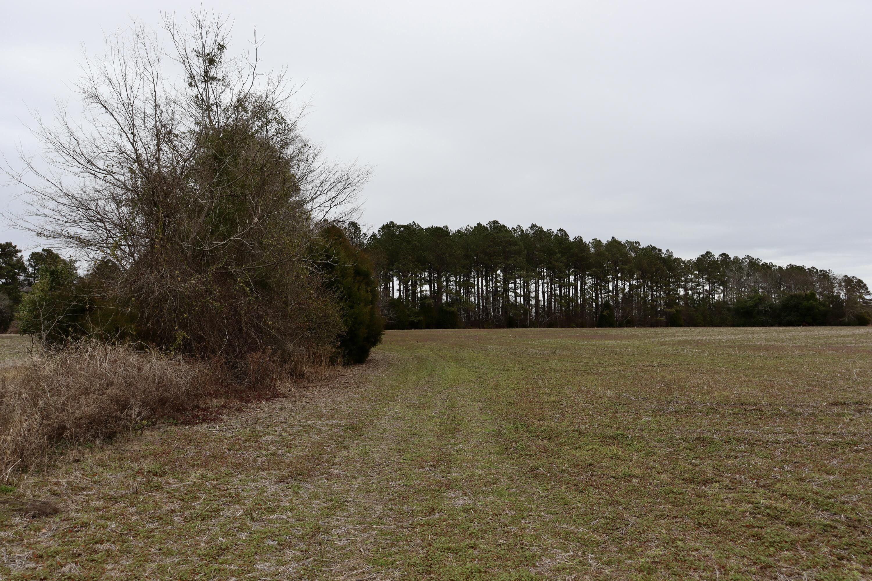 35 Acres, 0 Cool Springs Road, Pinewood, SC 29125 | Land and Farm