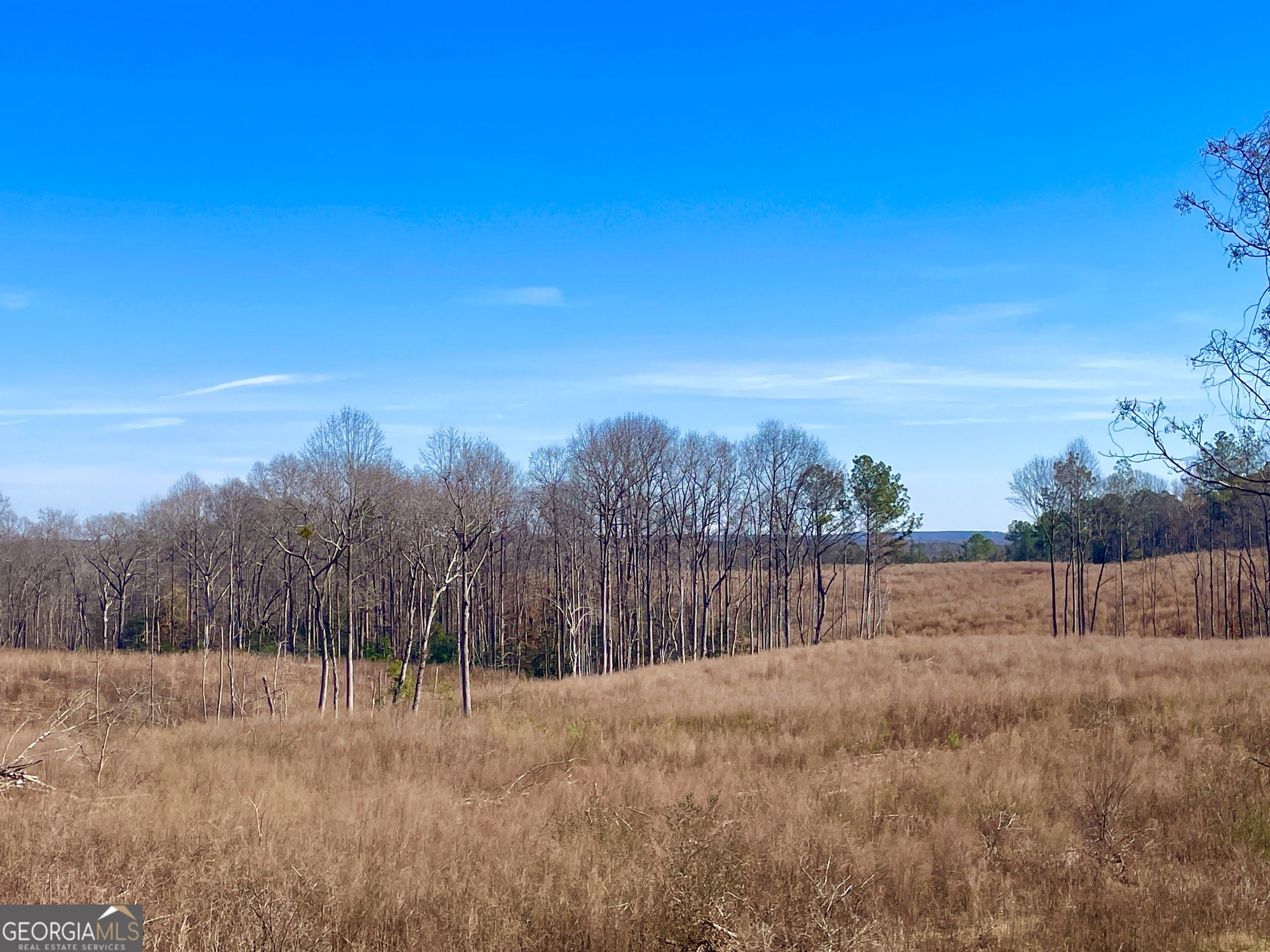 0 Parham Town Road, Bowman, GA 30624 | MLS: 10252181 | Land and Farm