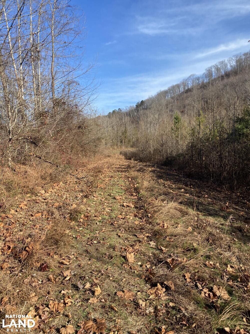 0 E State Highway 904, Siler, KY 40763 | Land and Farm