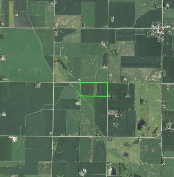 80 acres in Conger, MN, 56009 | Land and Farm