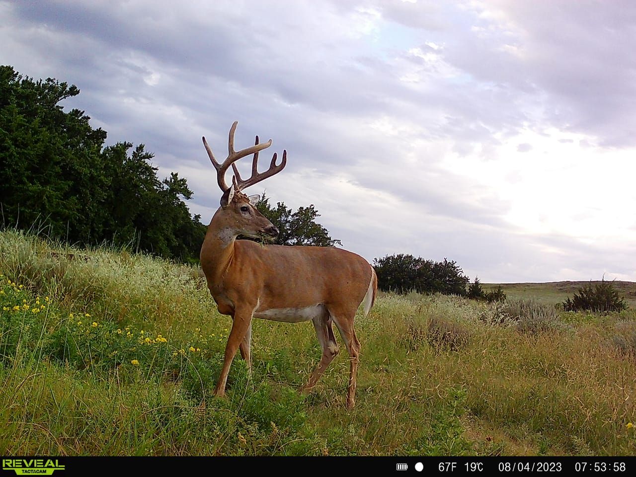 335 Acres, Alva, OK 73717 | Land and Farm