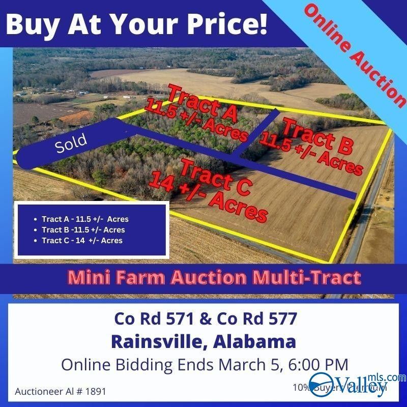 11.5 Acres, Tract A County Road 571, Powell, AL 35986 | Land and Farm