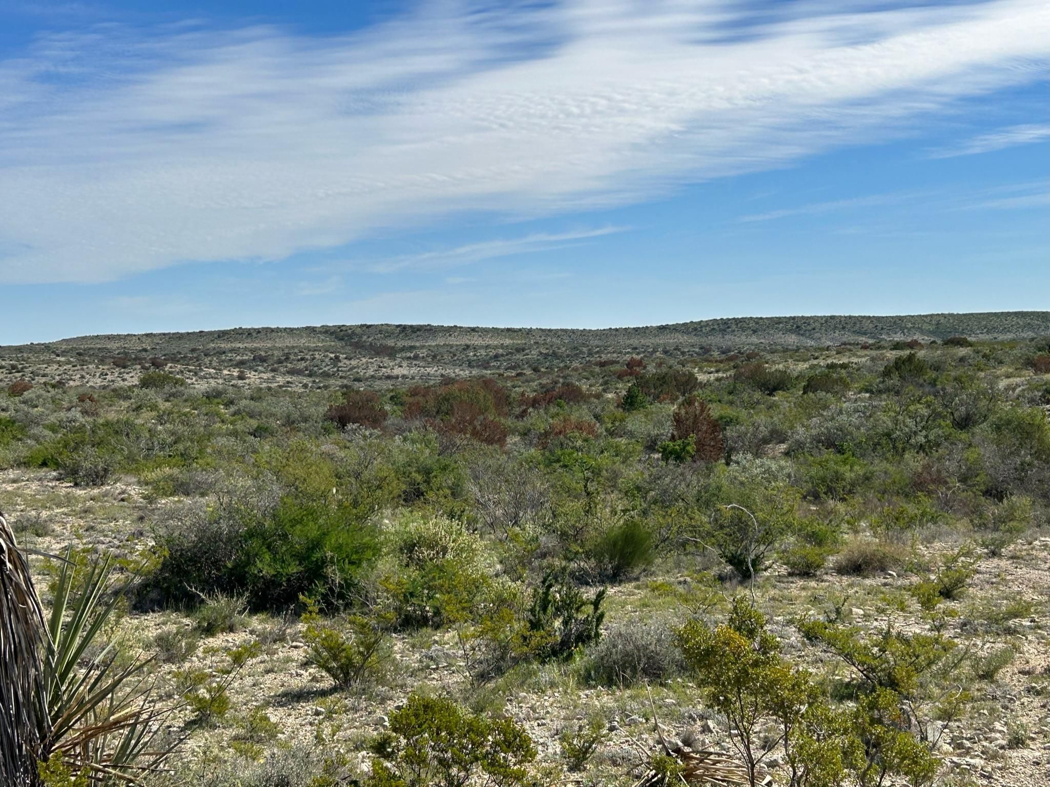 142.47 acres in Langtry, TX, 78871 | Land and Farm