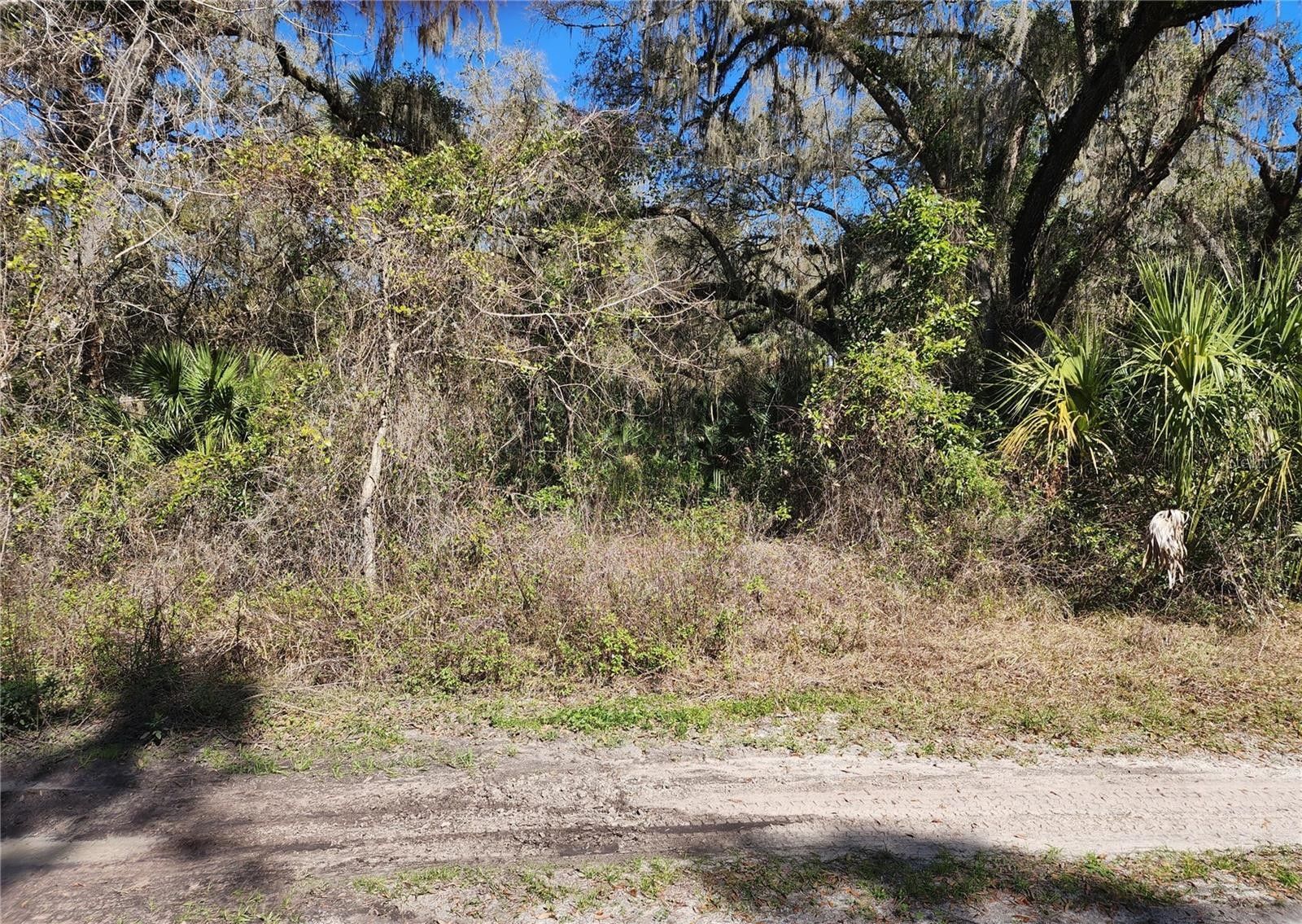 0.42 Acres, 3143 NE 163RD LANE, Citra, FL 32113 | Land and Farm