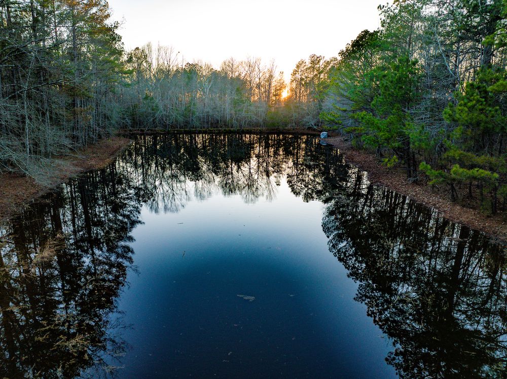 Jerry Davis Rd, Lot#WP001, Pheba, MS 39755 | MLS: 24-339 | Land and Farm