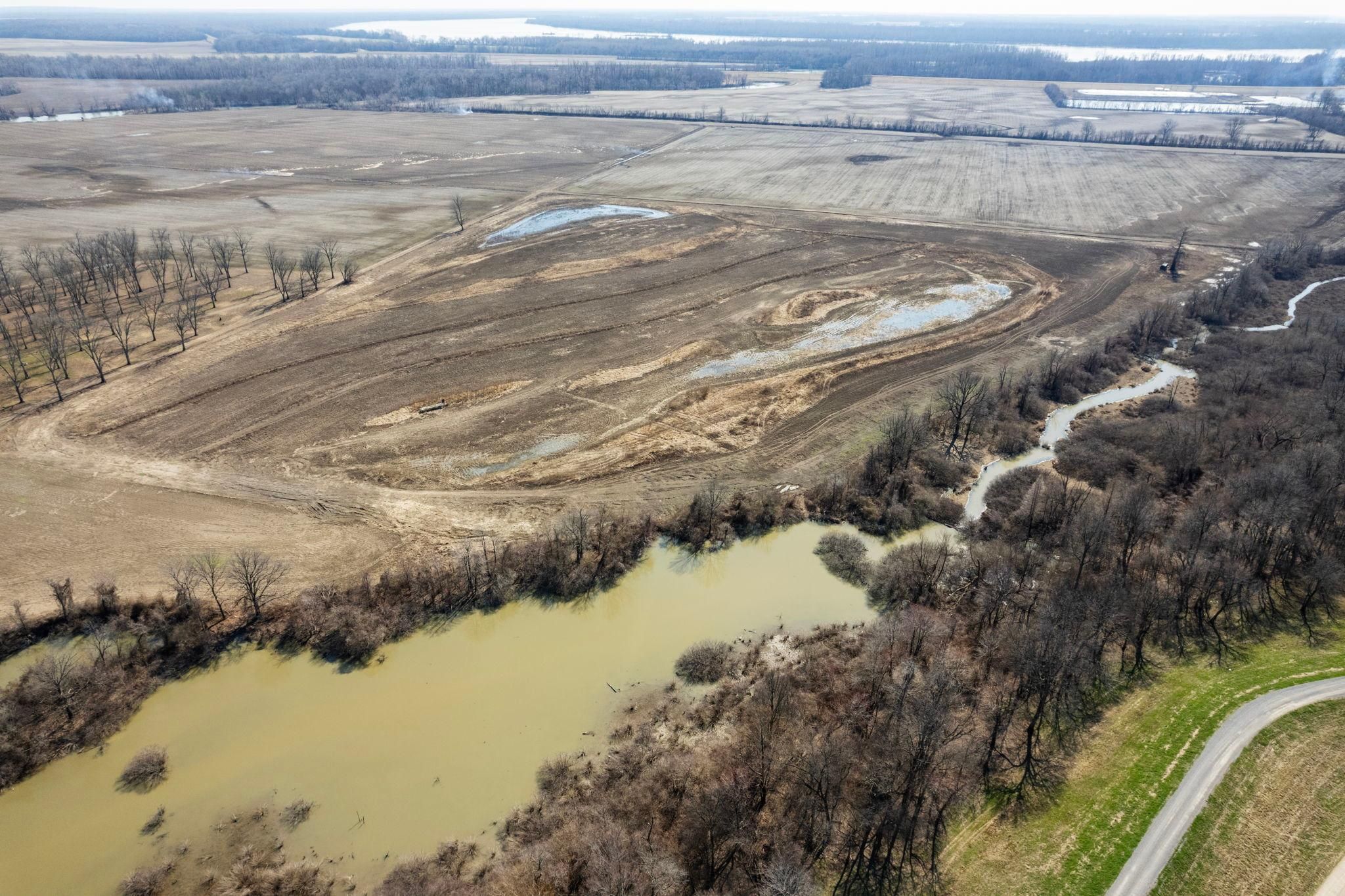 42 acres in New Madrid, MO, 63869 | Land and Farm