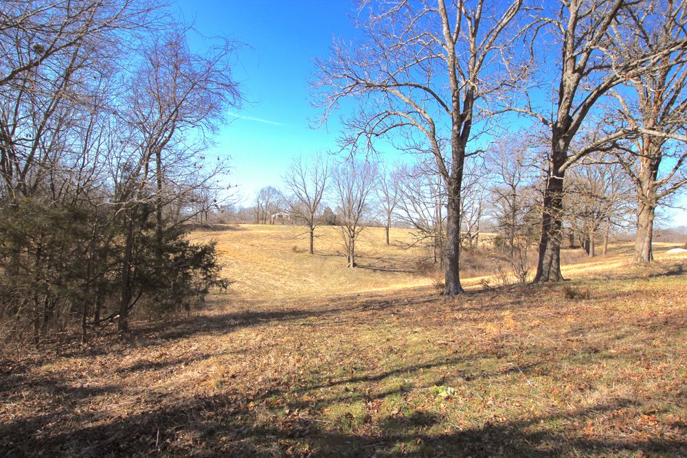 412 Gates Lane, Pea Ridge, AR 72751 | MLS: Benton 39 | Land and Farm