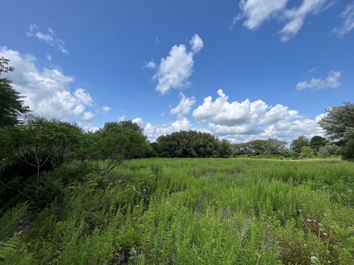 Cowans Corners Road Lot 1, Conewango Valley, NY 14726 | MLS: 11197842 ...