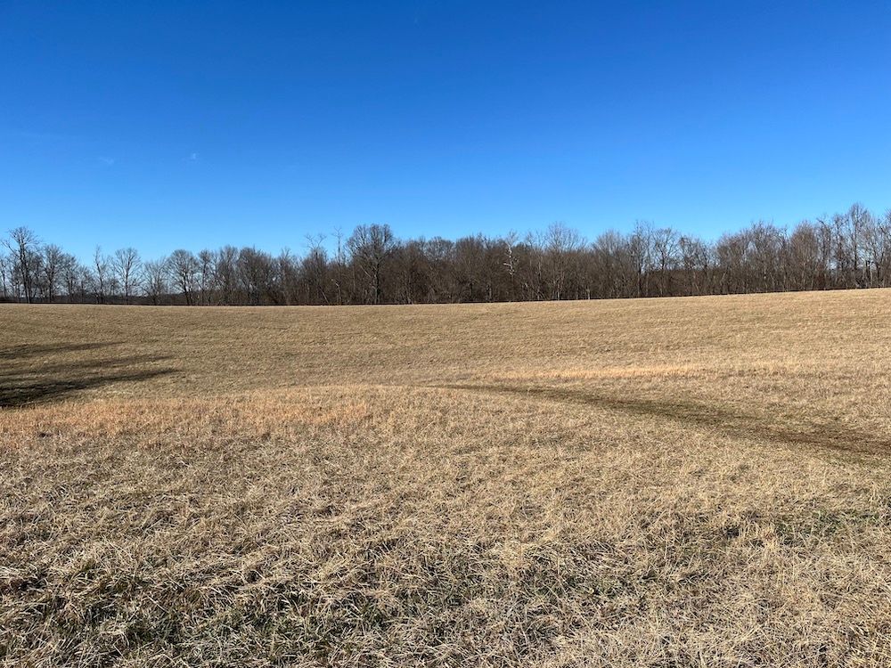 45850 Pomeroy Pike, Lot#WP001, Racine, OH 45771 | Land and Farm