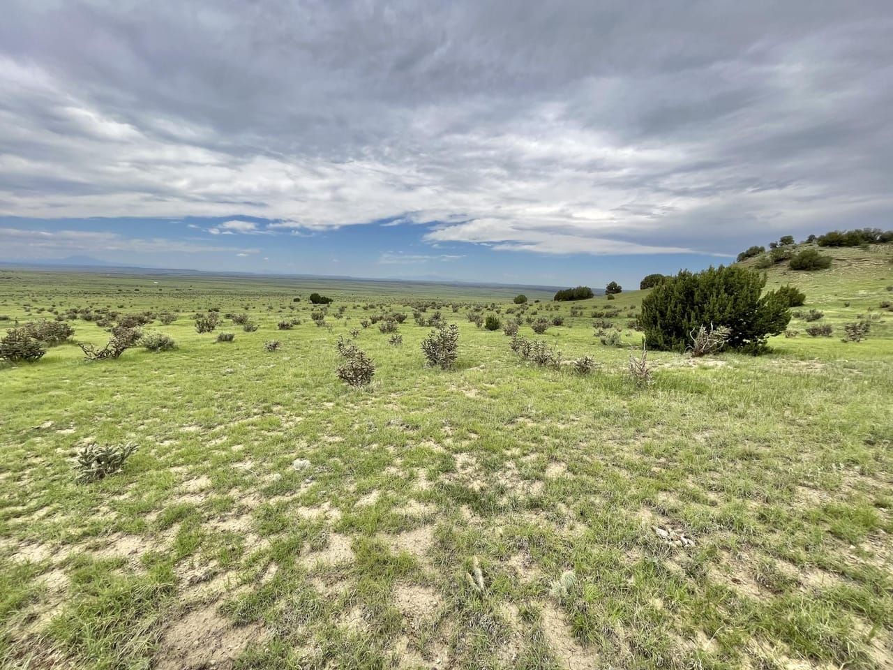 53999 Kit Carson Trail, Model, CO 81059 | MLS: 213187 | Land and Farm