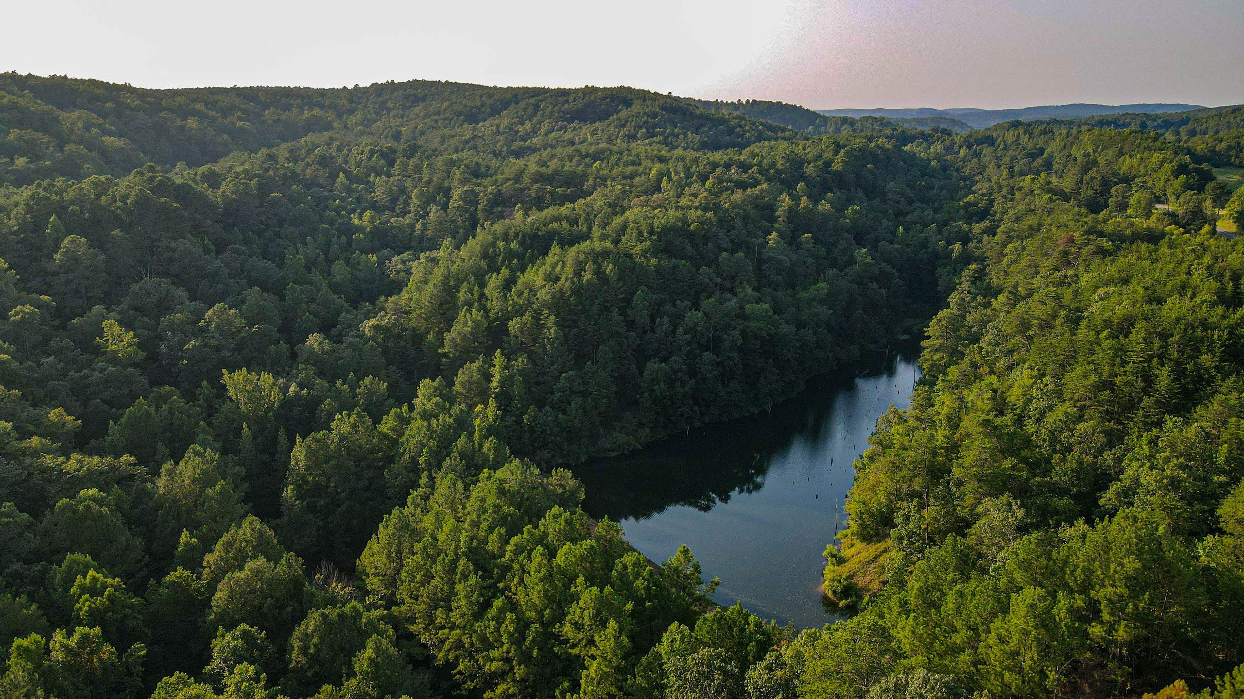 Fulton Hill Rd, Berry, AL 35546 | Land and Farm