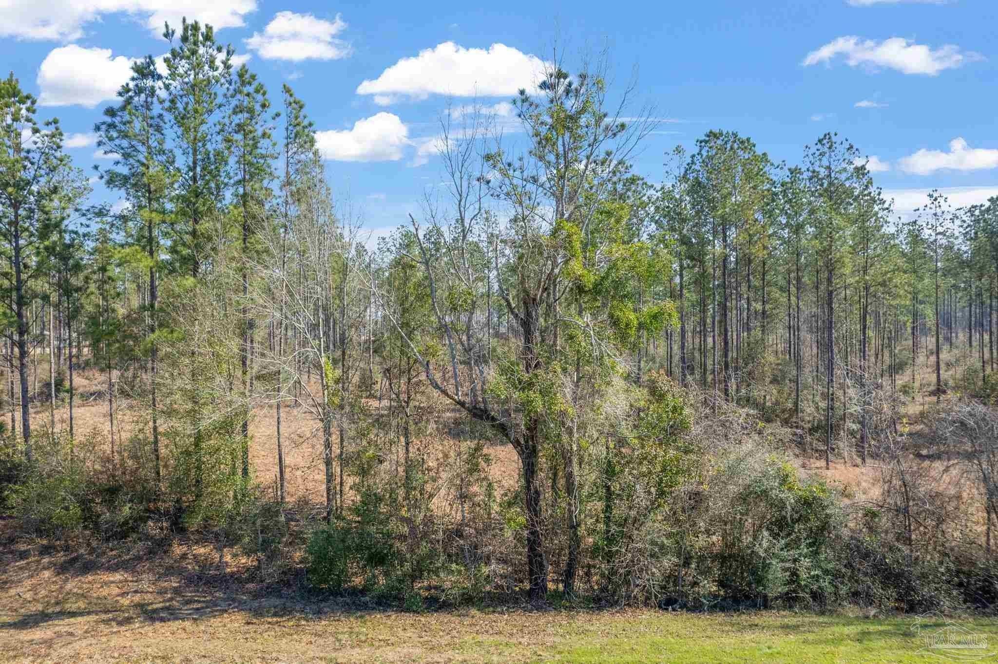 7.52 Acres, Lot 9 Hwy 89, Jay, FL 32565 | Land and Farm