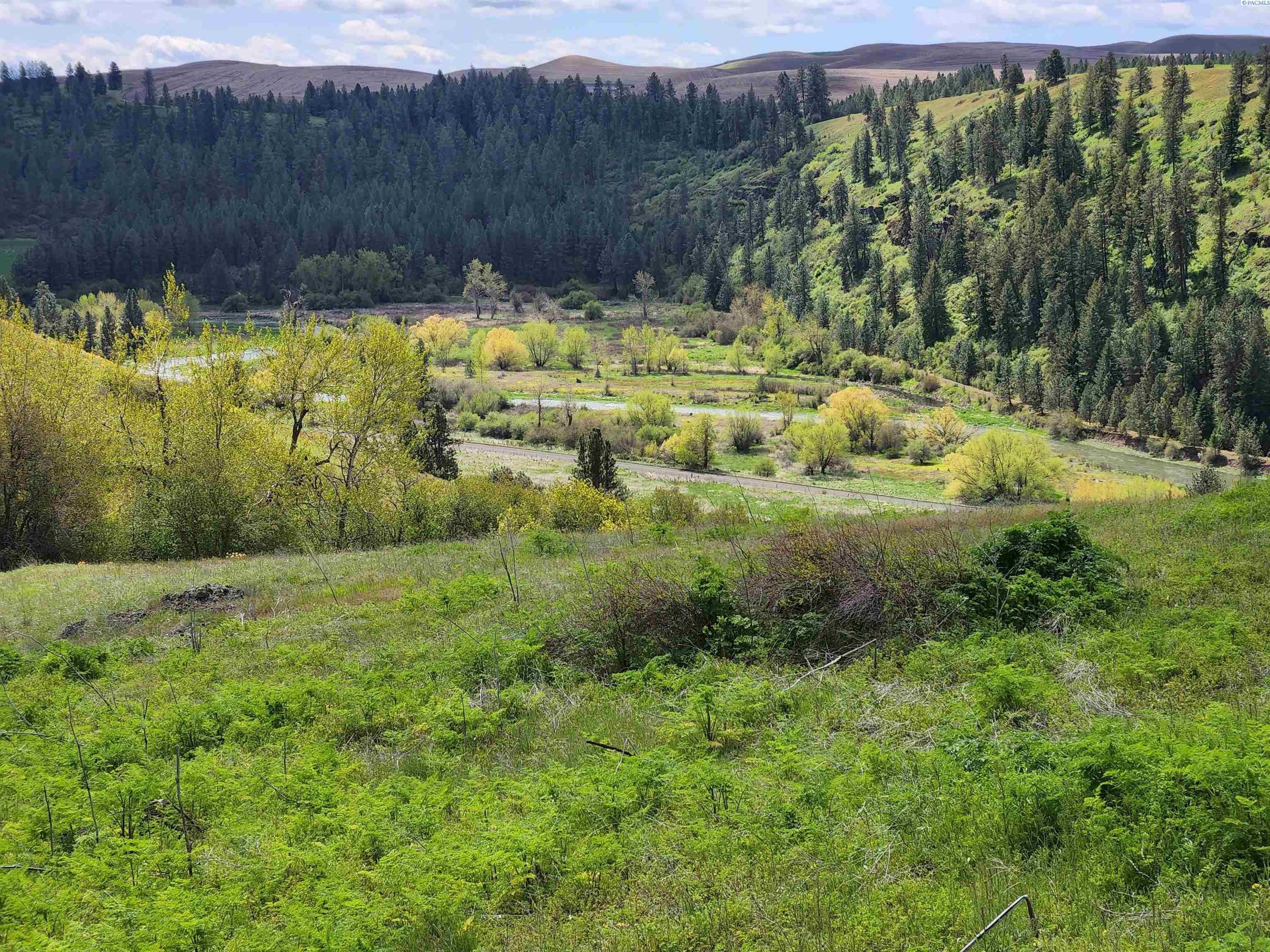 21 Red Tail Ridge, Colfax, WA 99111 | MLS: 274116 | Land and Farm