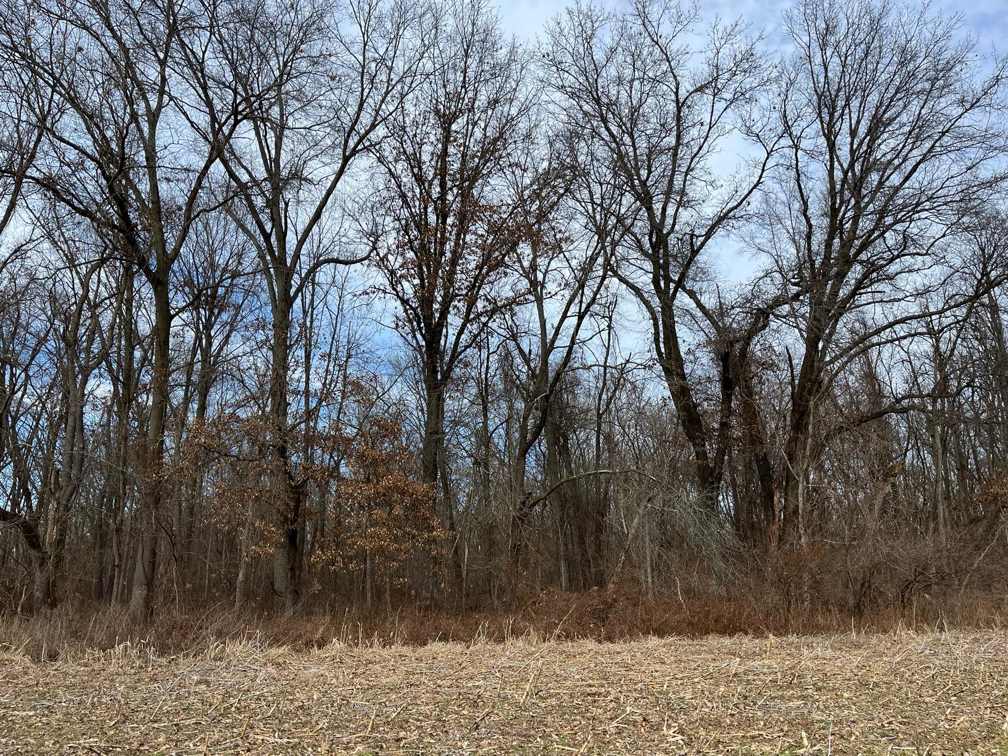 Dustman Road and Possum Hill Rd, Worden, IL 62097 | Land and Farm