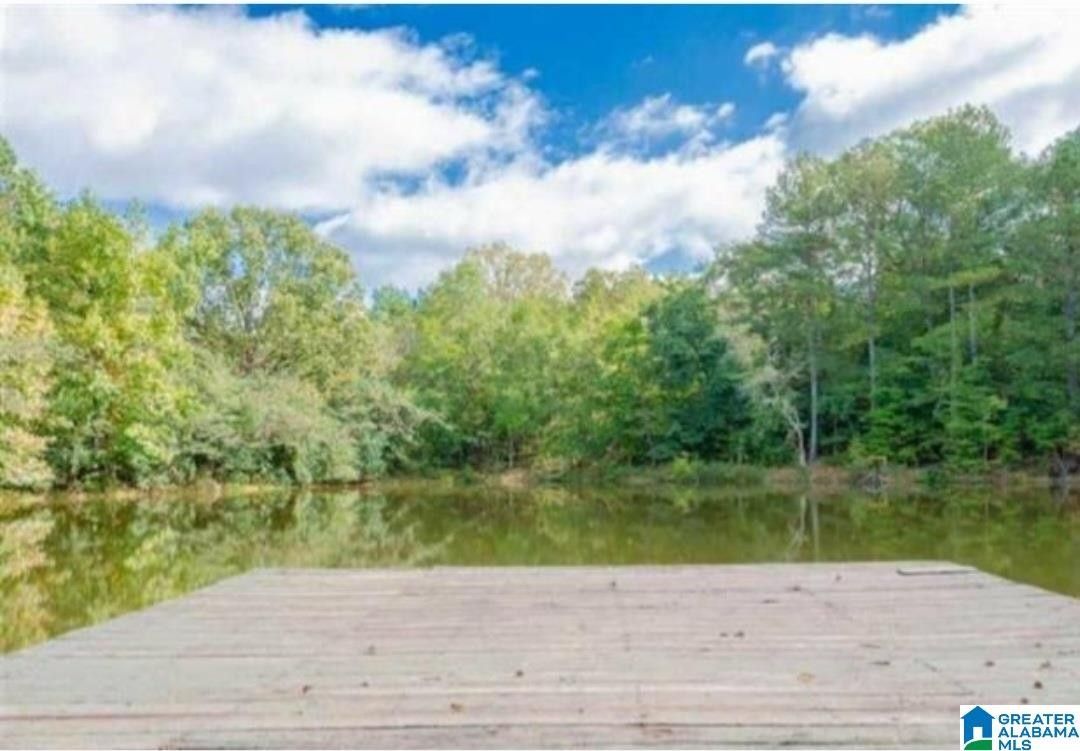0 SHADY POINT ROAD, Locust Fork, AL 35079 | MLS: 21378568 | Land and Farm
