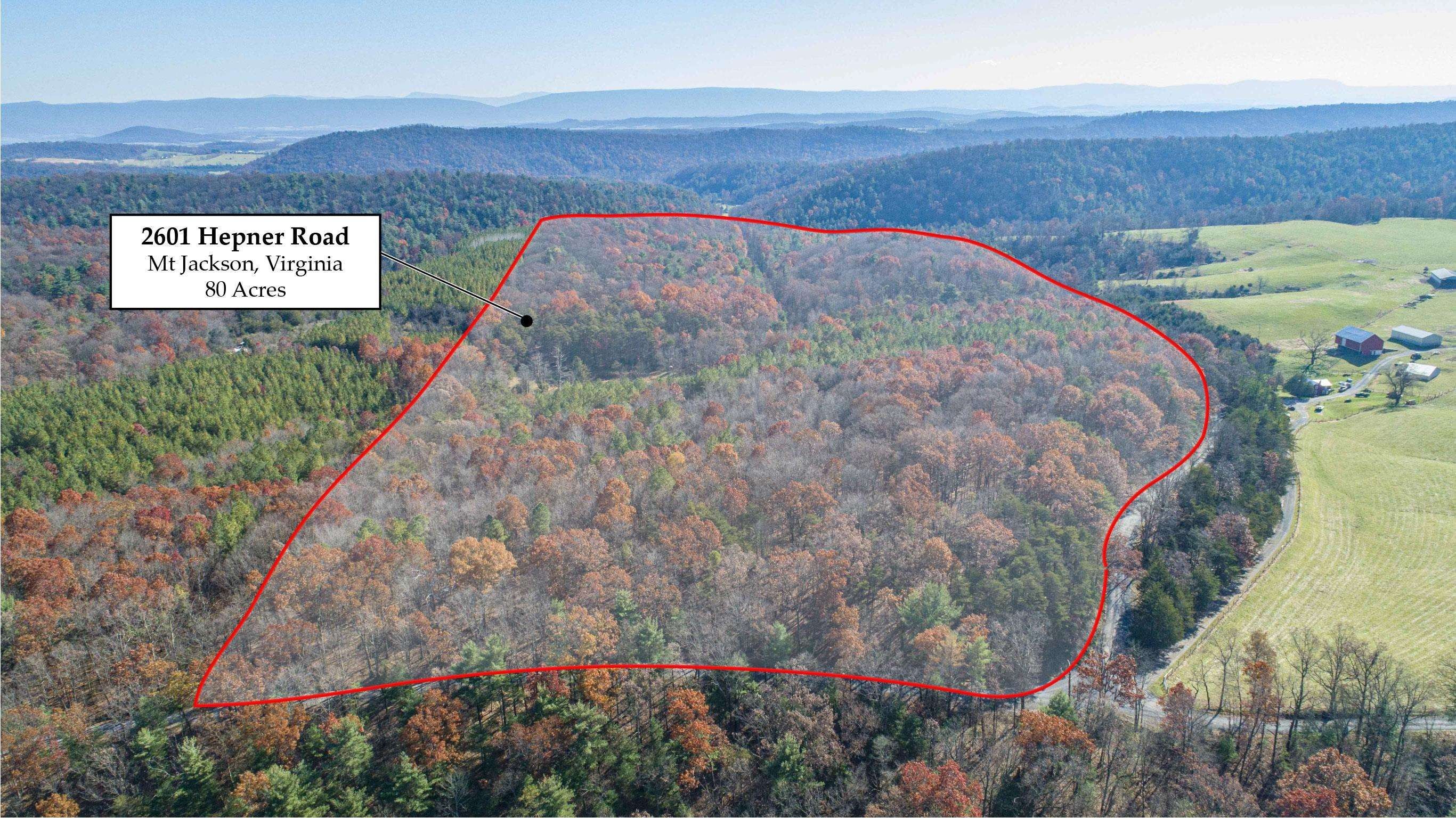 2601 HEPNER RD, Mount Jackson, VA 22842 | MLS: 650141 | Land and Farm
