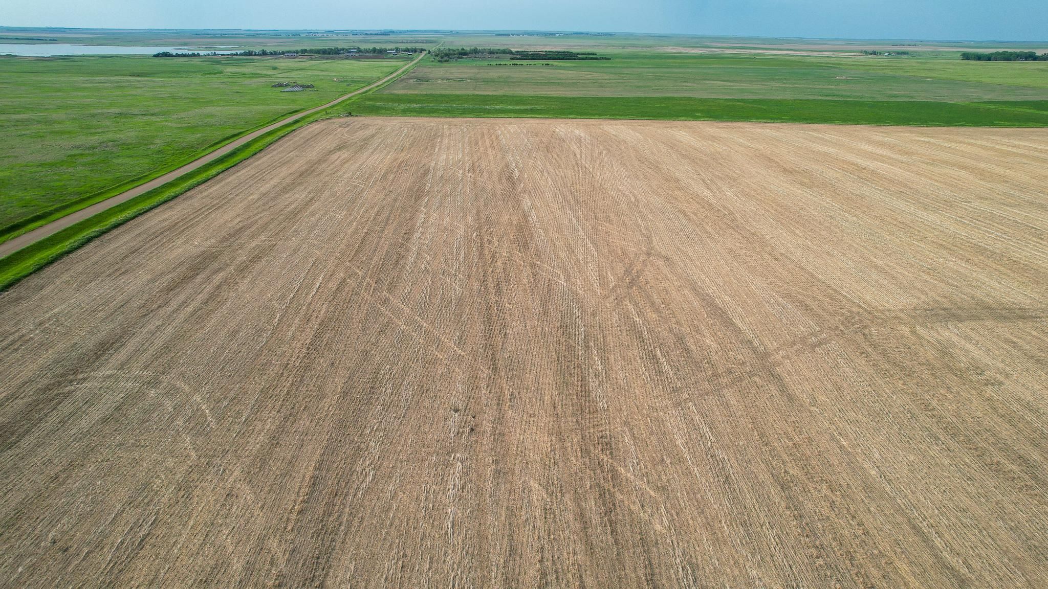117 Acres, Agar, SD 57520 | Land and Farm