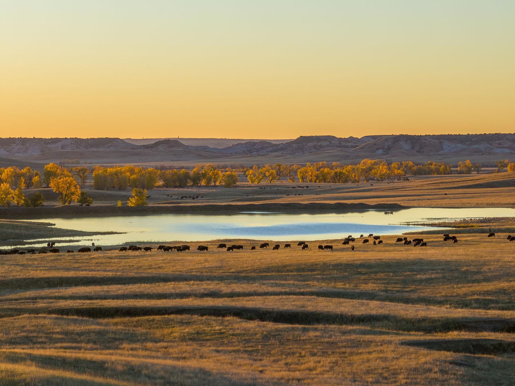 25,756 acres in Fairburn, SD, 57738 | Land and Farm