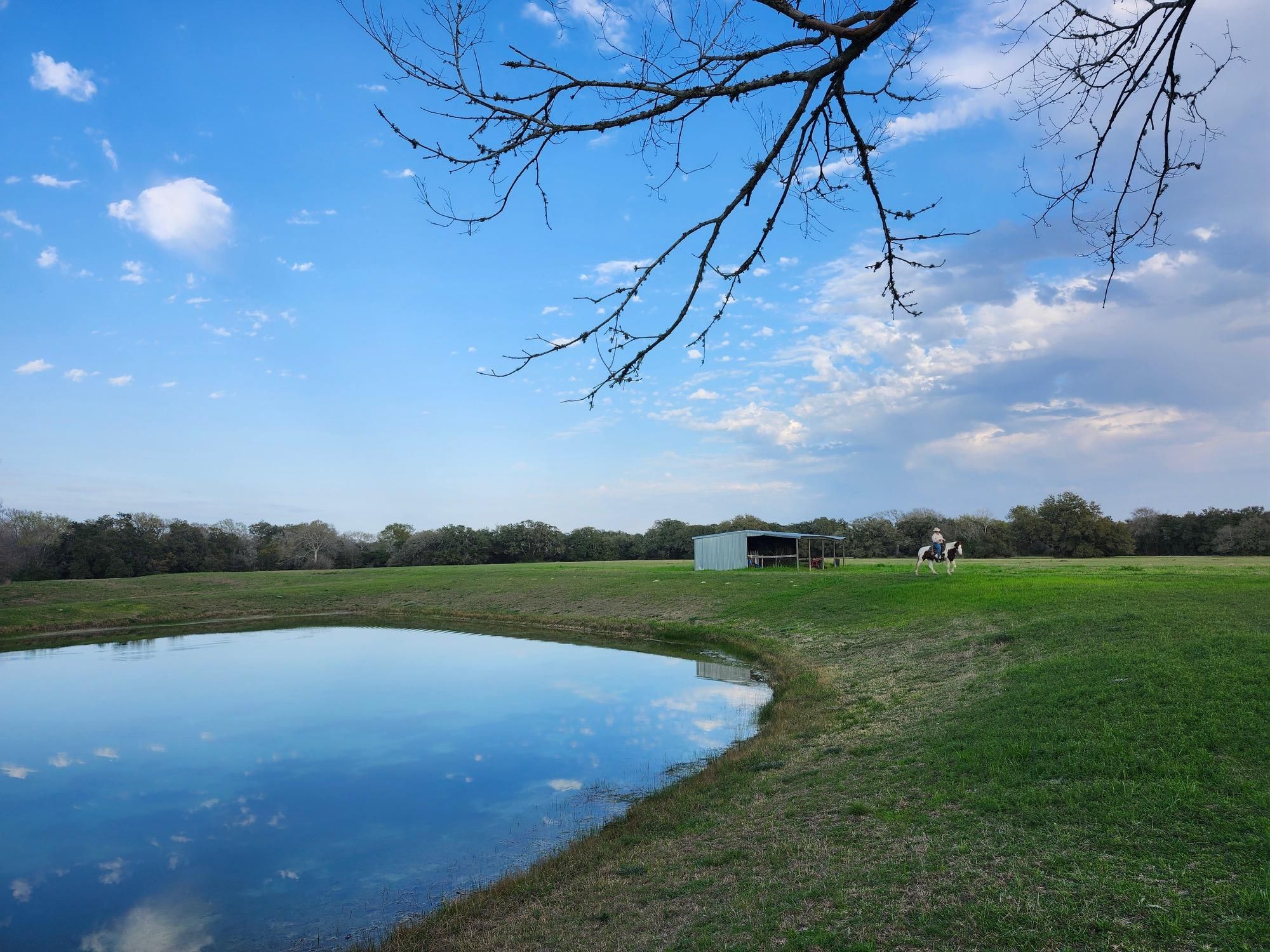 FM 1300, Louise, TX 77455 | Land and Farm