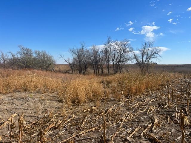 TBD, Damar, KS 67632 | Land and Farm