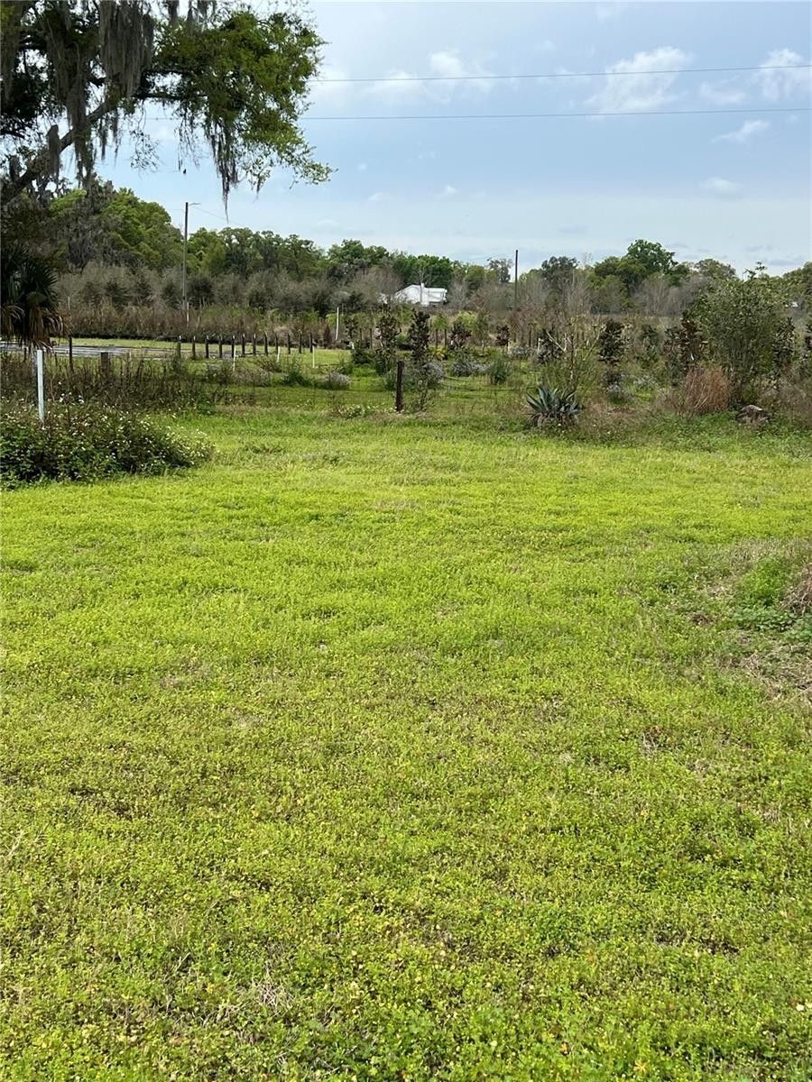 16.92 Acres, 300 E HIGHWAY 316, Citra, FL 32113 | Land and Farm