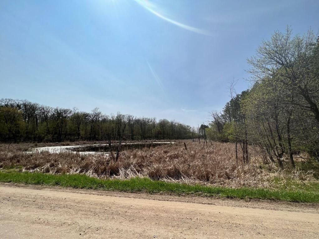 29469 160th Avenue, Elizabeth, MN 56533 | MLS: 6331512 | Land and Farm
