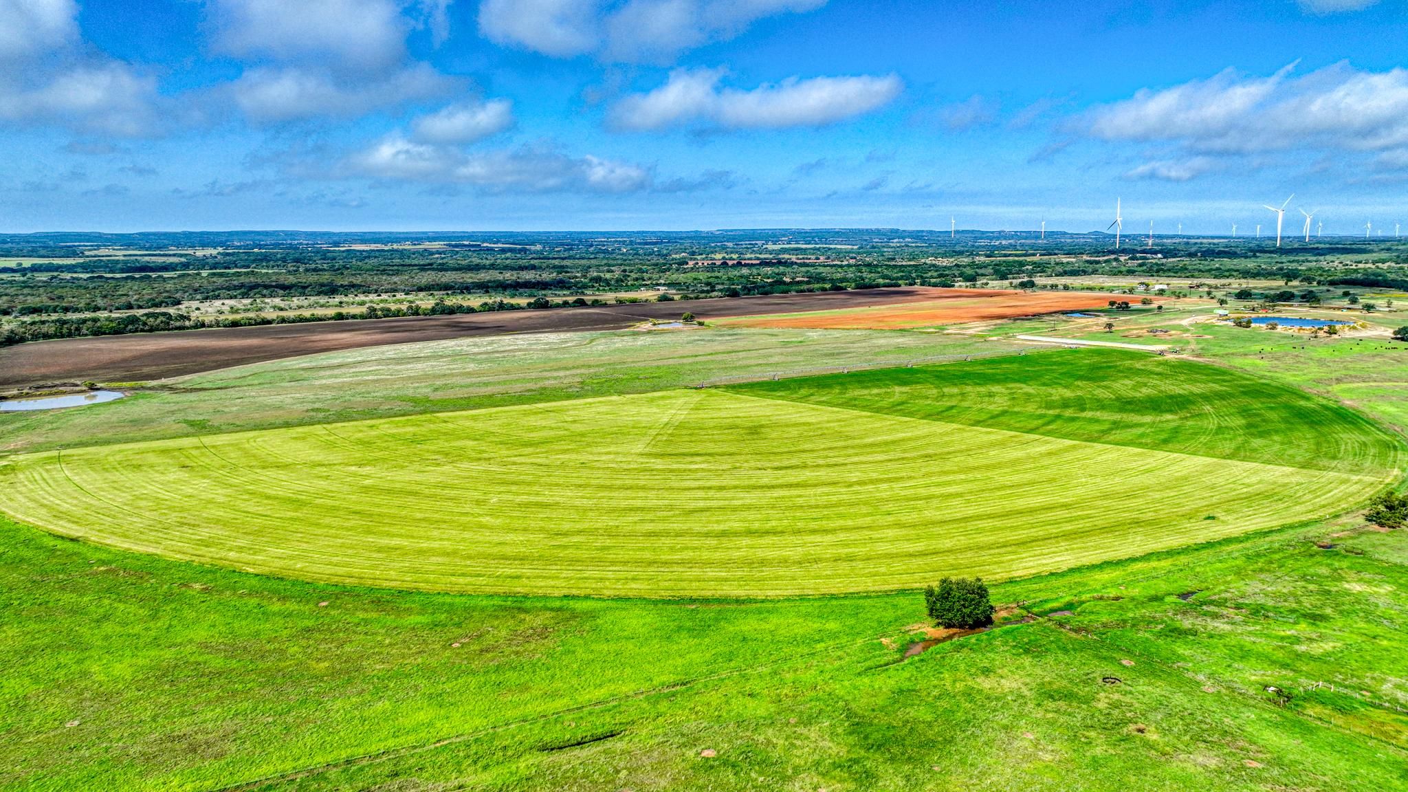 14283 Farm to Market Road 880 South, Cross Plains, TX 76443 | MLS ...