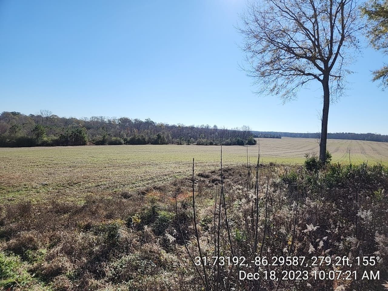 State HWY 10, Rutledge, AL 36049 | Land and Farm